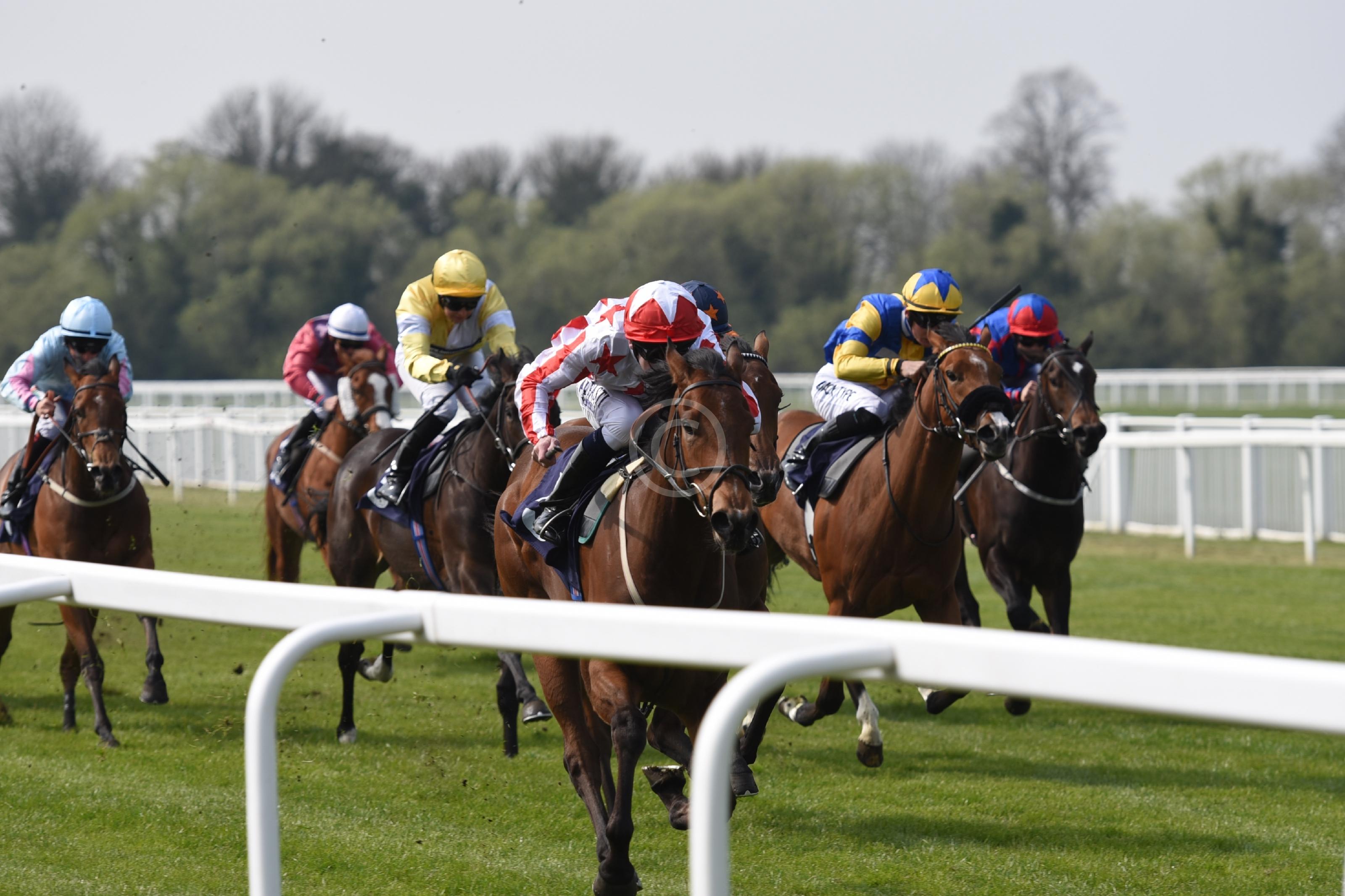 WINDSOR 131186 - Photo 1 of 19 - Baylis Media Photos