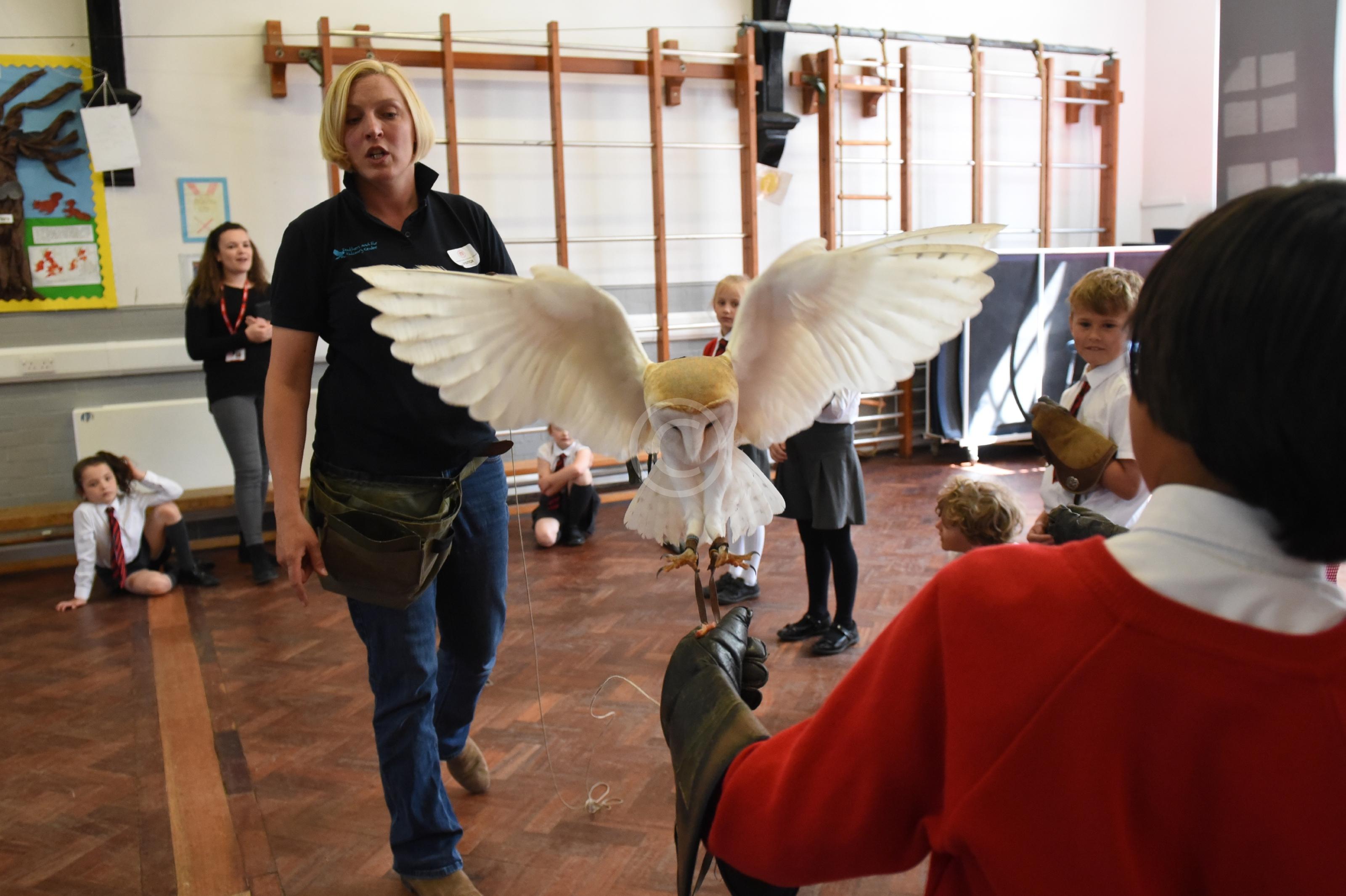 COOKHAM DEAN 131216 - Photo 3 of 94 - Baylis Media Photos