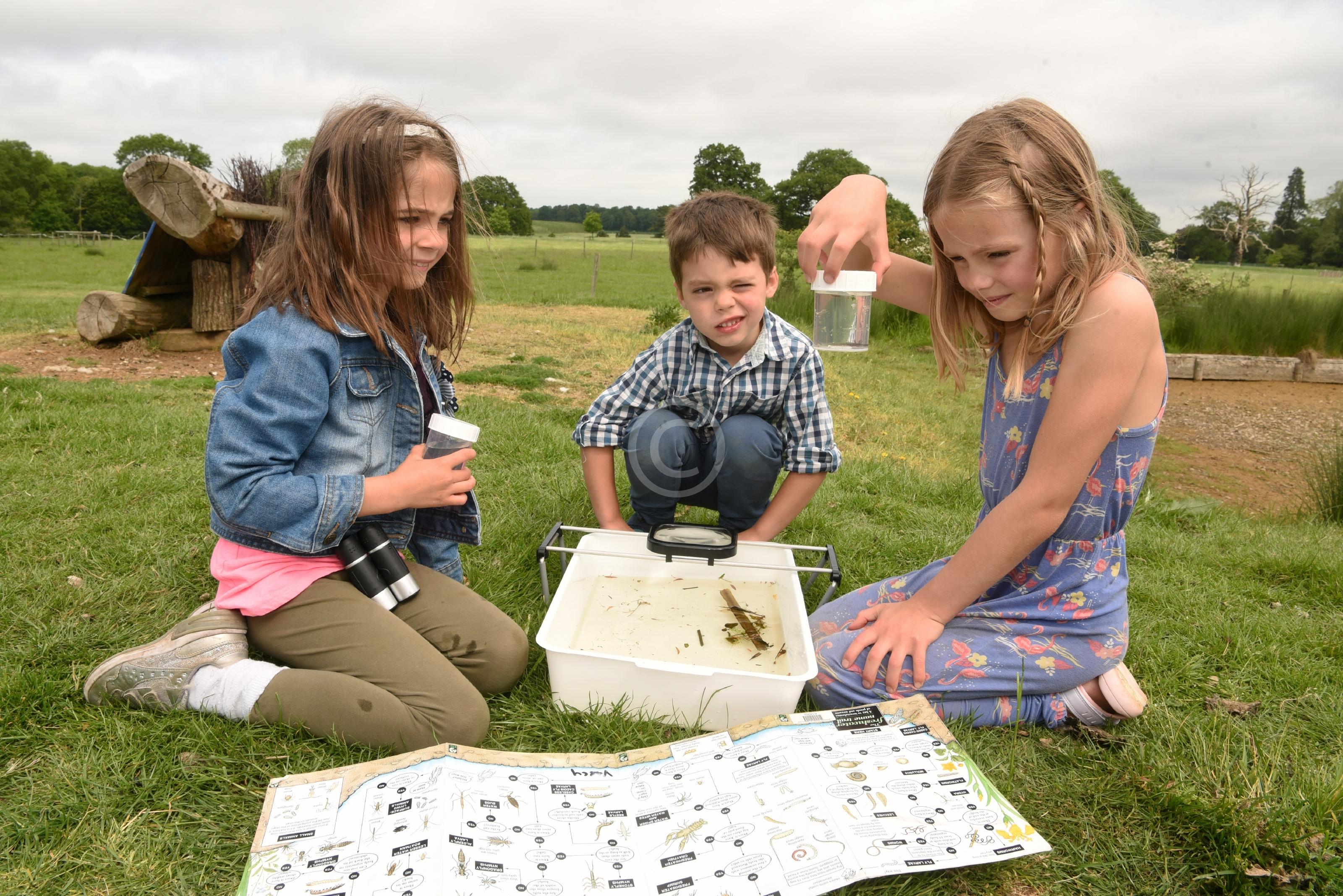 MAIDENHEAD 131345 - Photo 1 of 13 - Baylis Media Photos