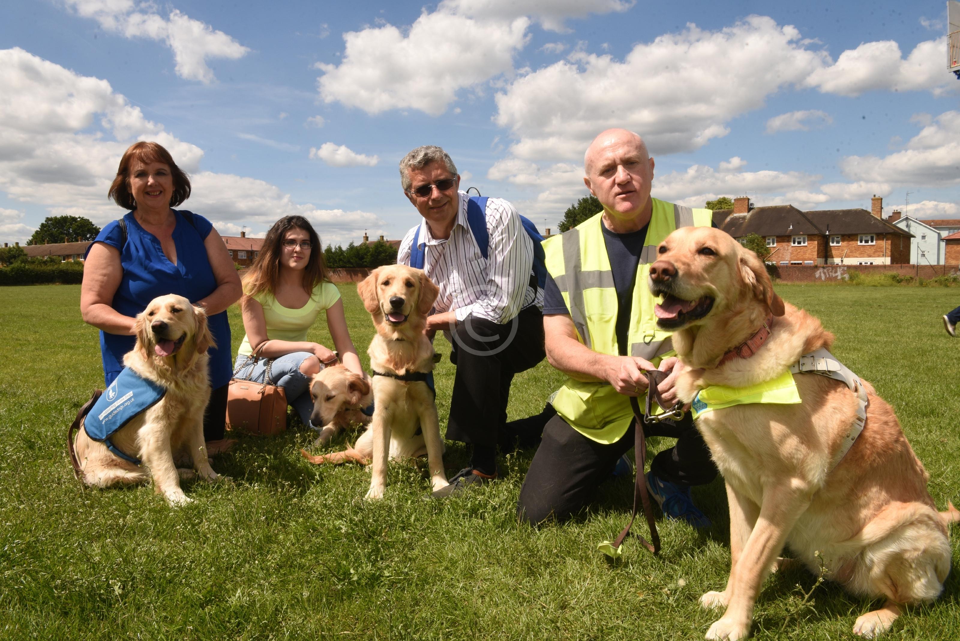 SLOUGH 131453 - Photo 1 of 6 - Baylis Media Photos