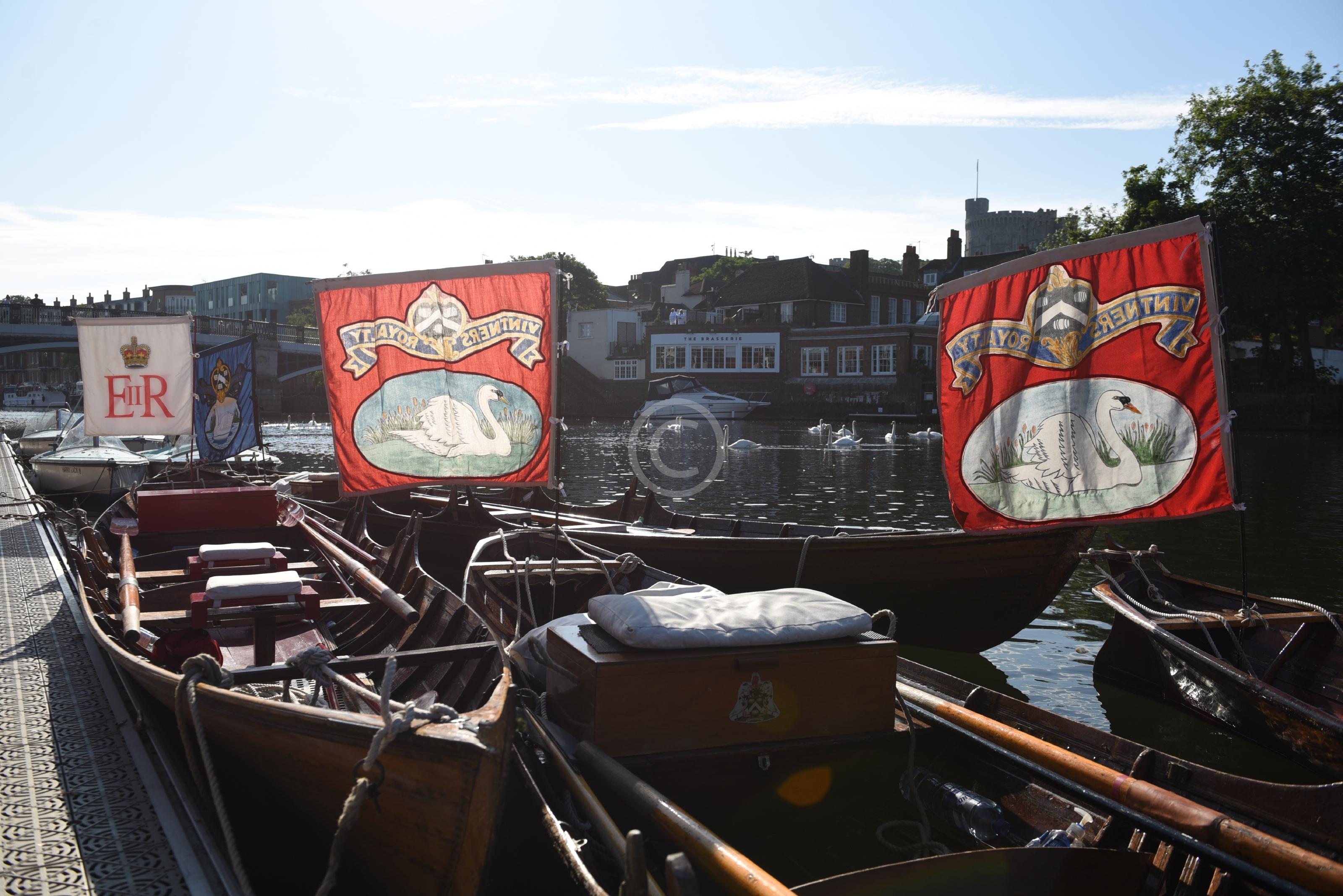 SWAN UPPING 131579 - Photo 1 of 113 - Baylis Media Photos
