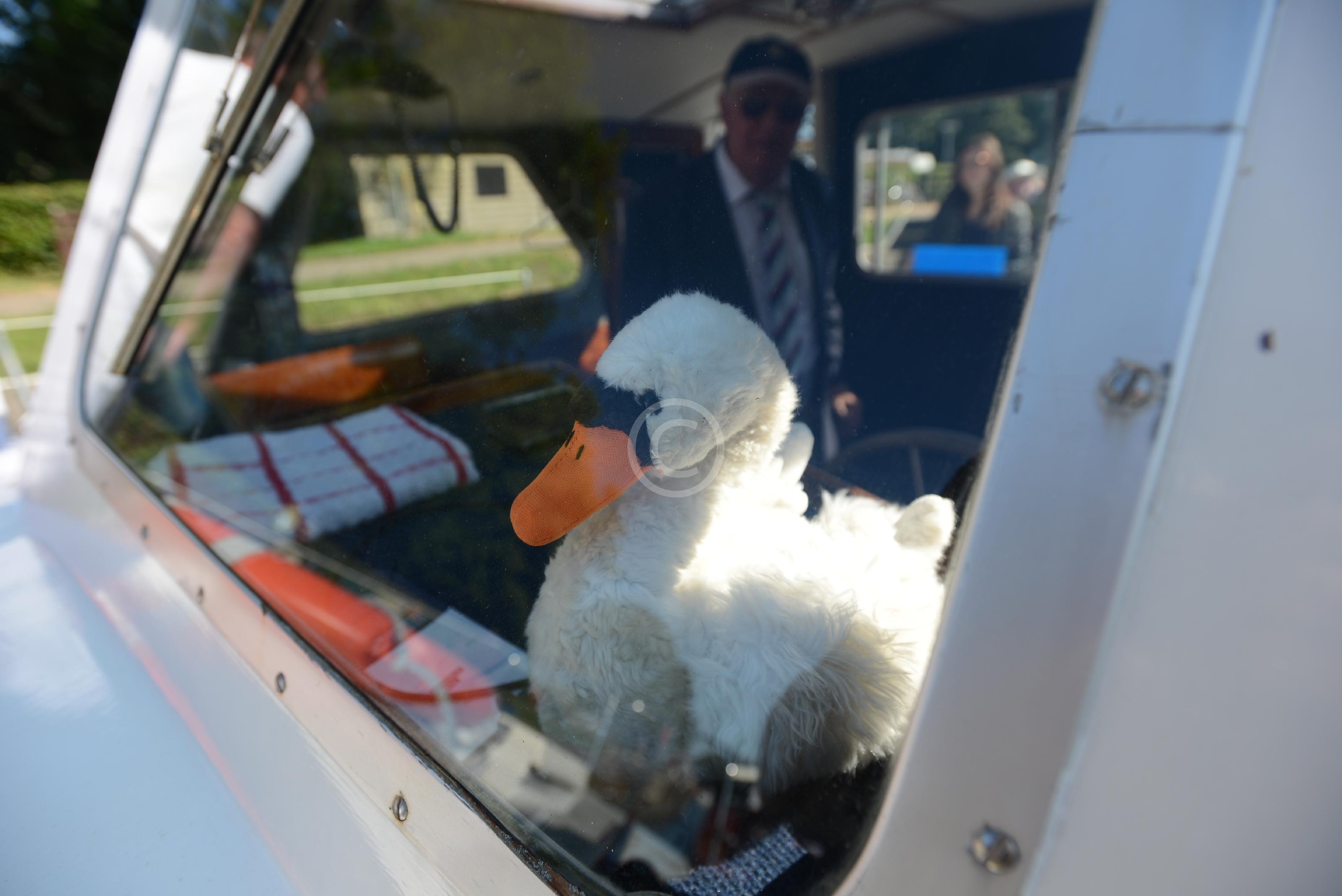SWAN UPPING 131579 - Photo 1 of 113 - Baylis Media Photos