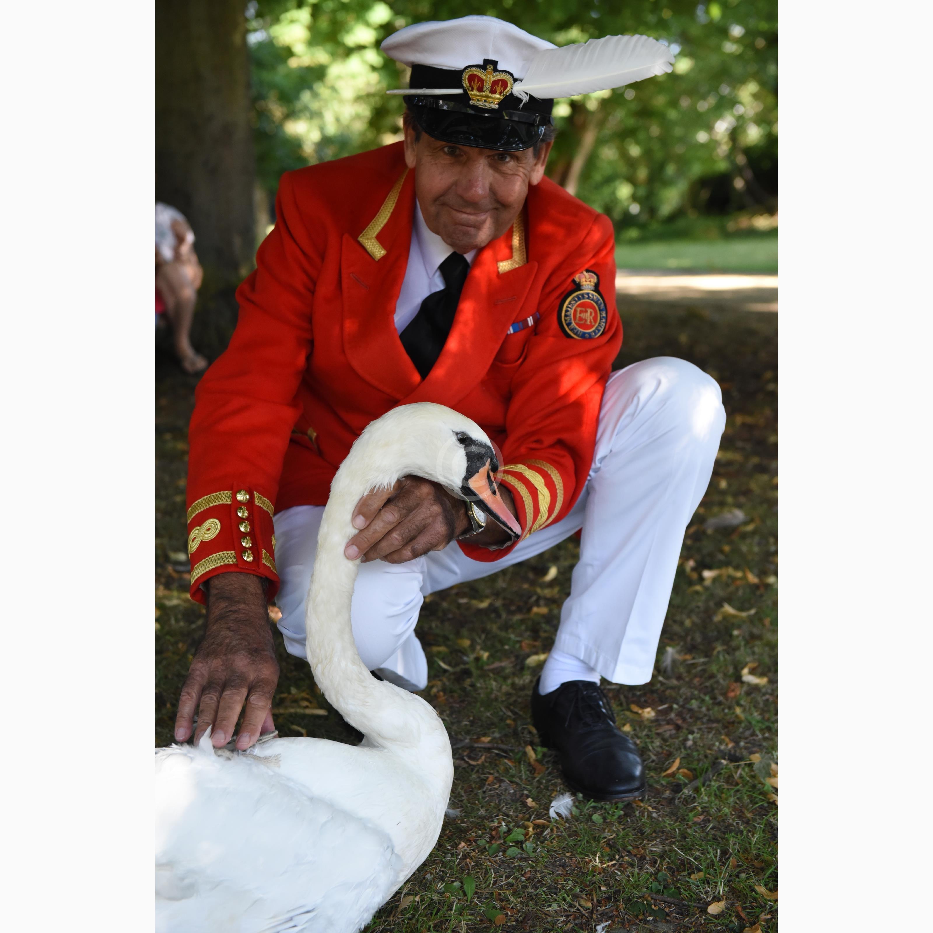 SWAN UPPING 131579 - Photo 1 of 113 - Baylis Media Photos