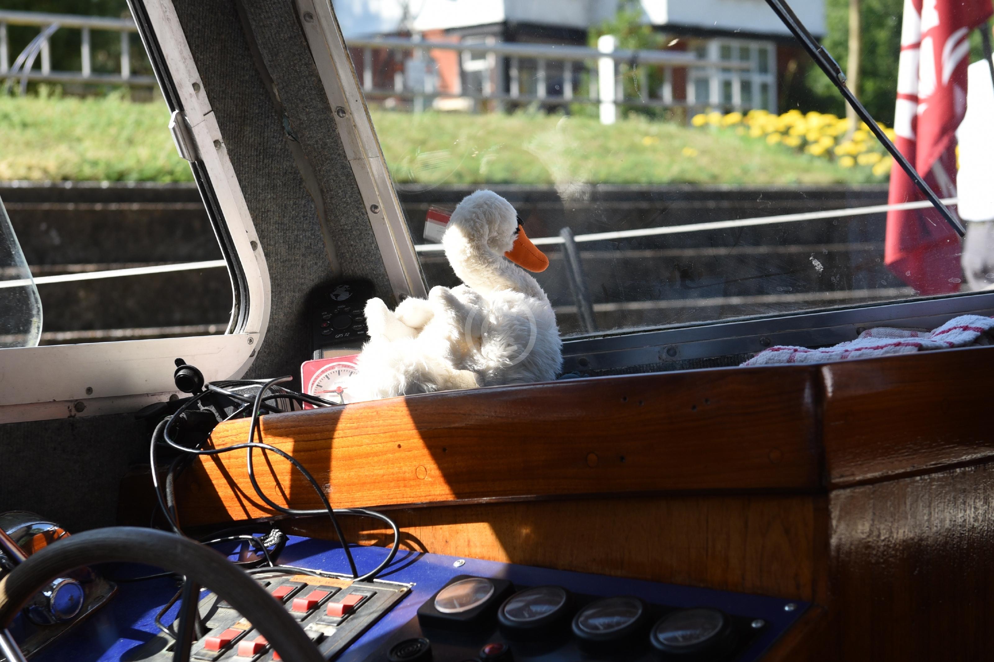 SWAN UPPING 131579 - Photo 1 of 113 - Baylis Media Photos