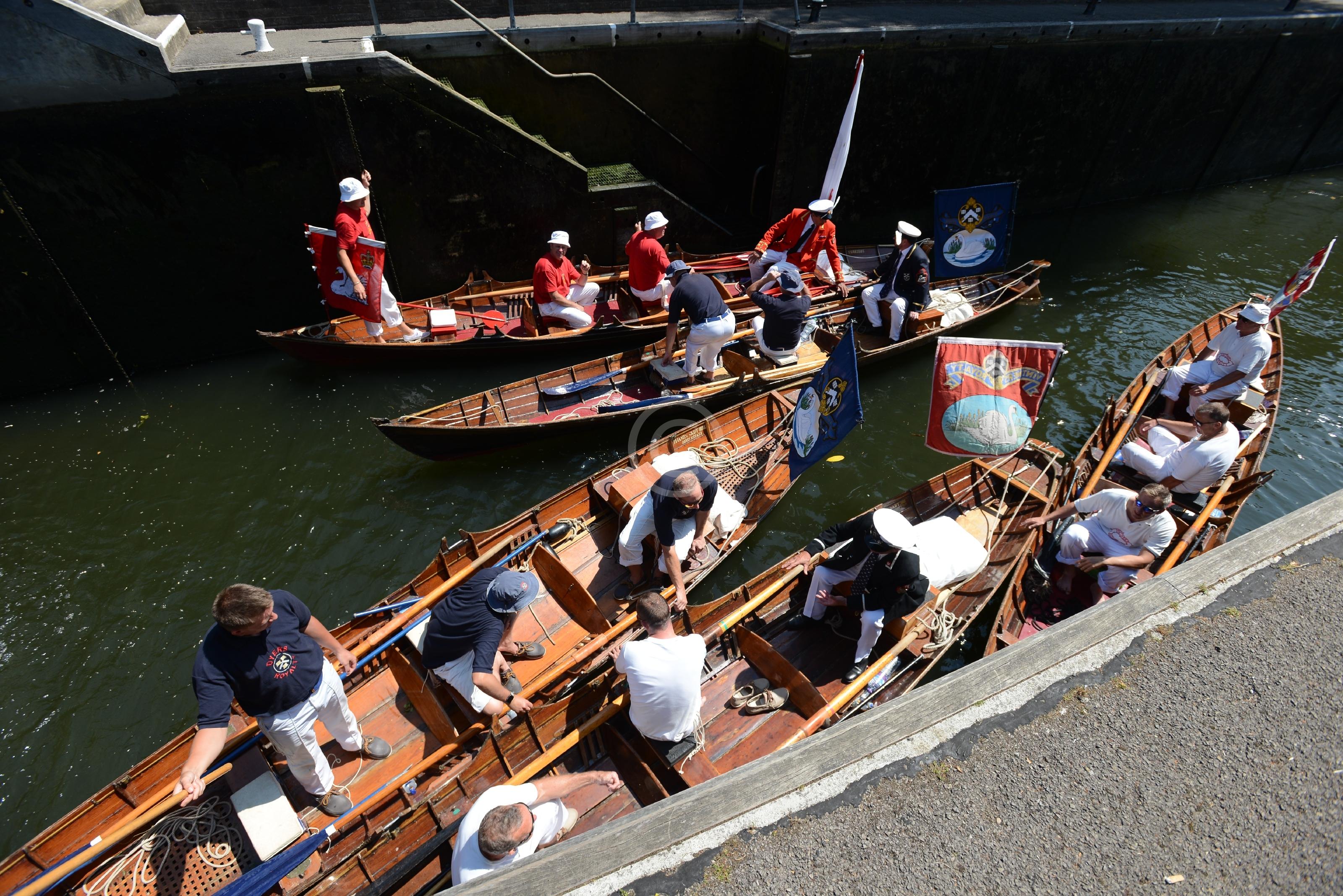SWAN UPPING 131579 - Photo 1 of 113 - Baylis Media Photos