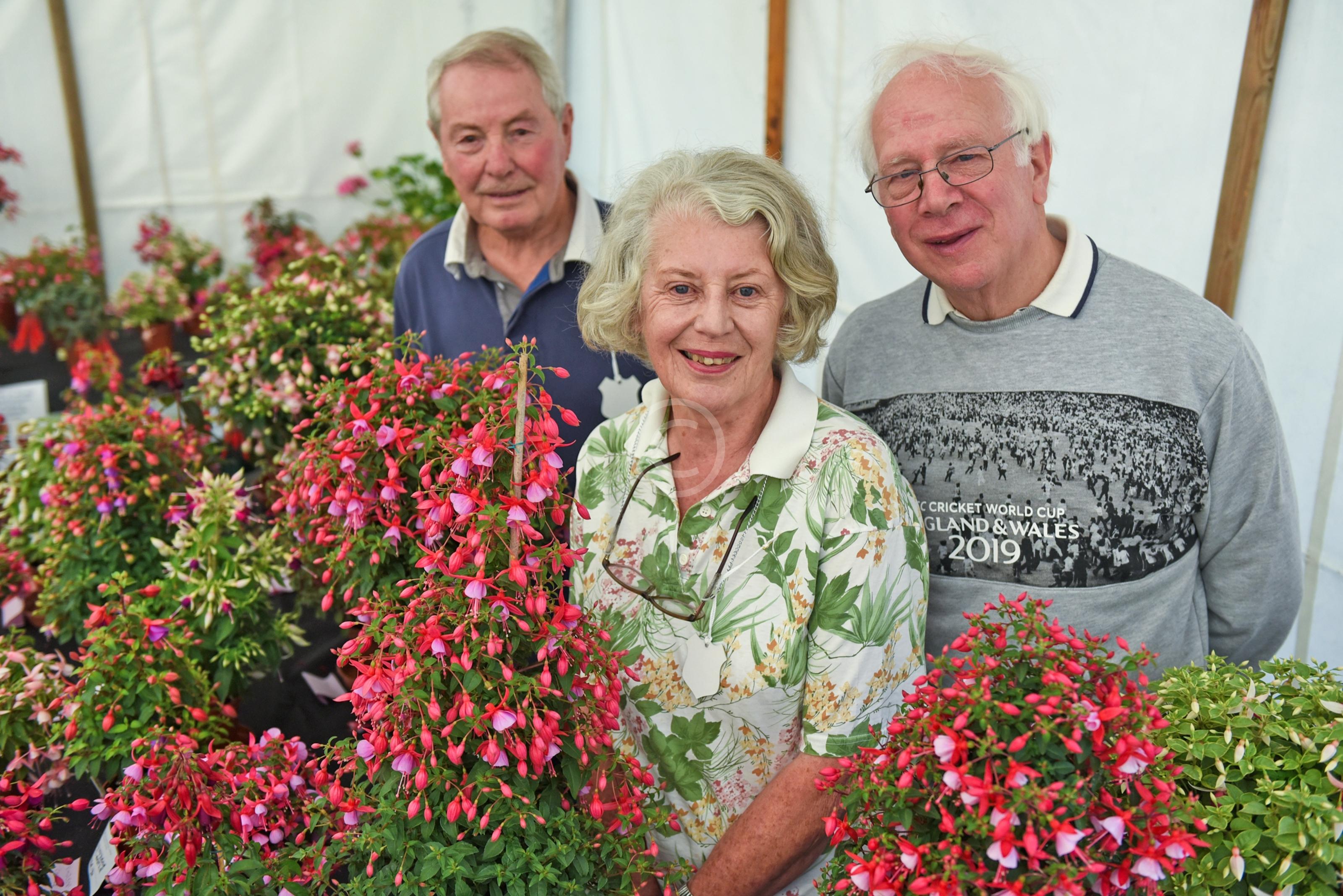 WINDSOR 131591 - Photo 1 of 18 - Baylis Media Photos