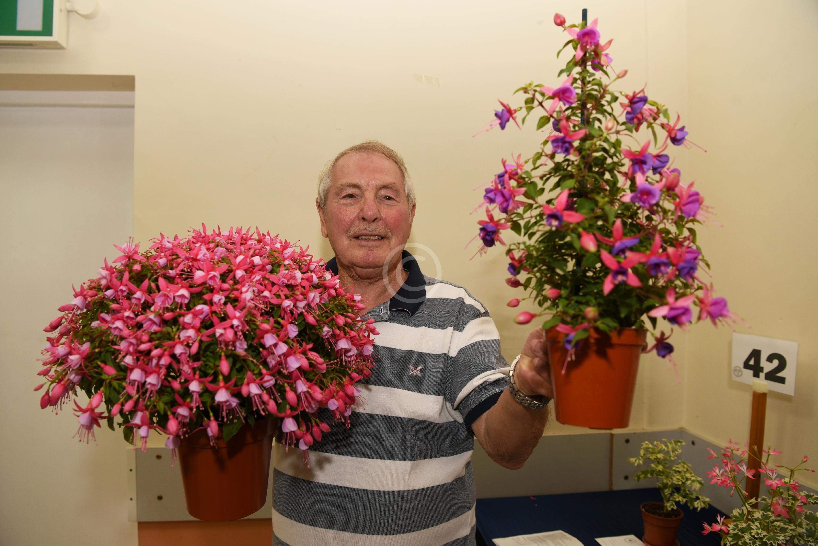 WINDSOR 131684 - Photo 1 of 7 - Baylis Media Photos