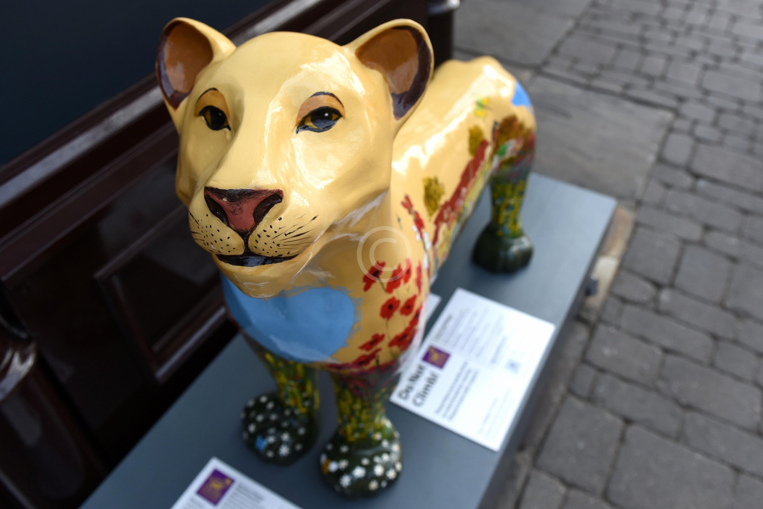 WINDSOR 131713 - Photo 1 of 14 - Baylis Media Photos