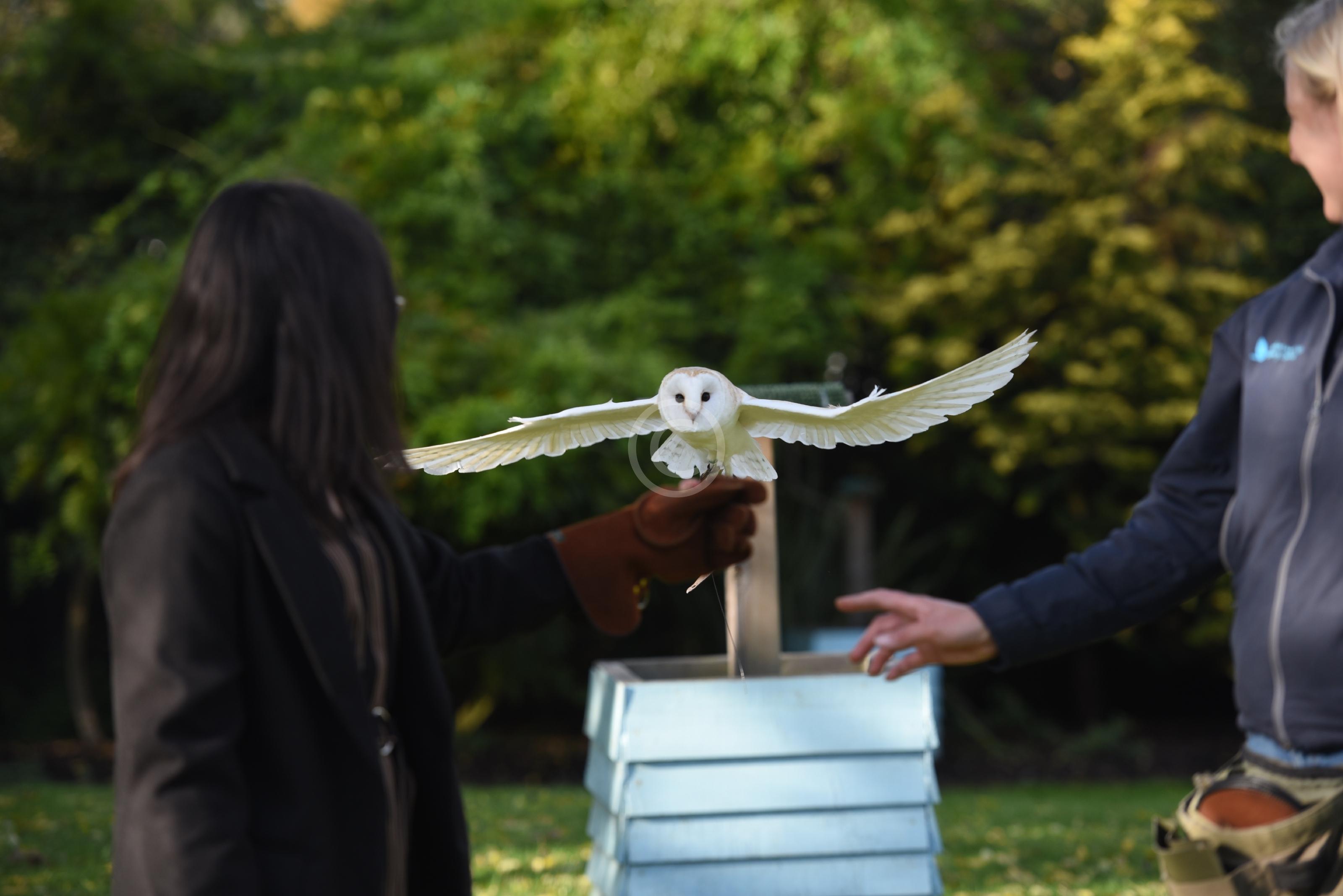 HARE HATCH 132029 - Photo 1 of 43 - Baylis Media Photos