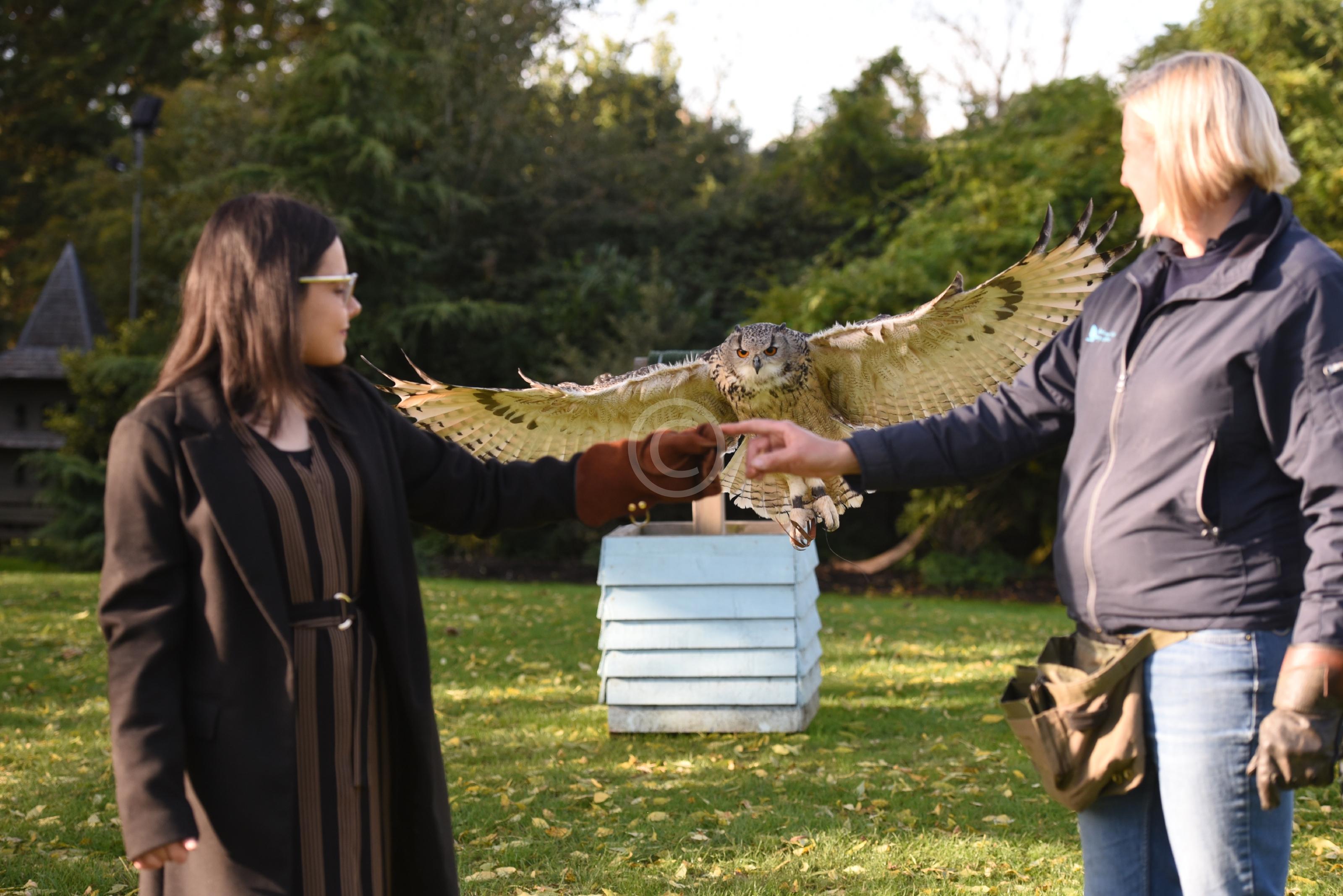 HARE HATCH 132029 - Photo 1 of 43 - Baylis Media Photos