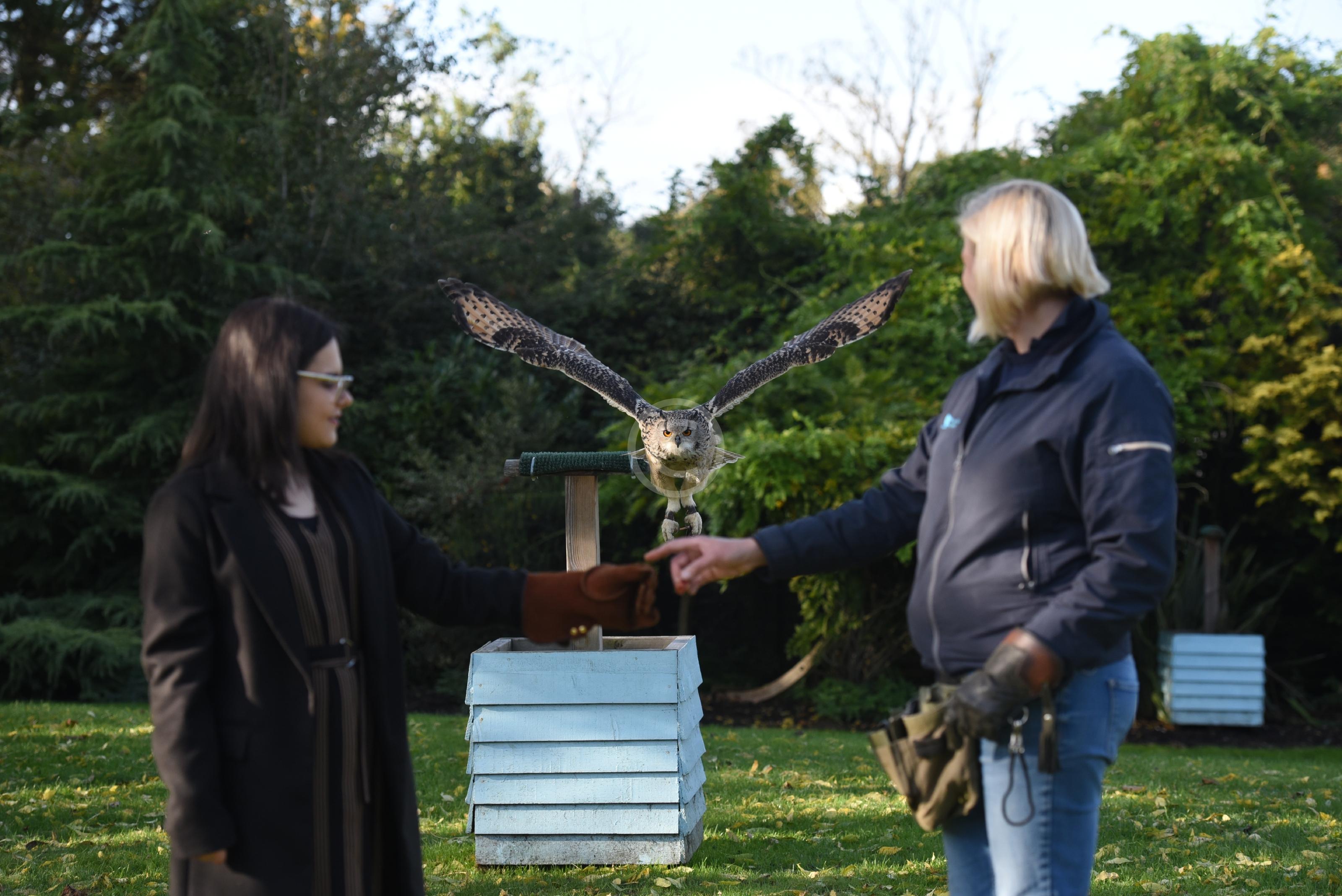 HARE HATCH 132029 - Photo 1 of 43 - Baylis Media Photos