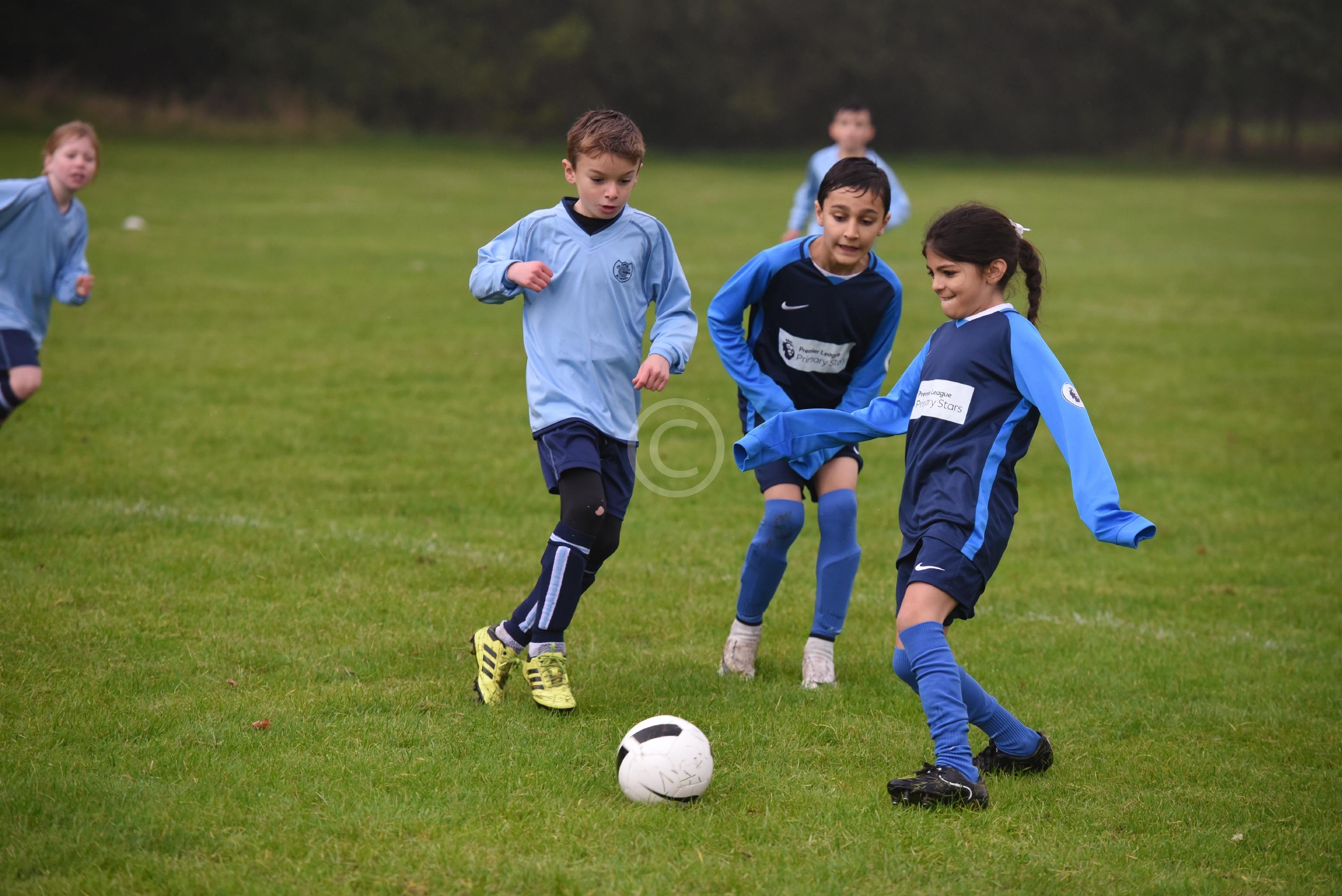 DEDWORTH 132064 - Photo 2 of 30 - Baylis Media Photos