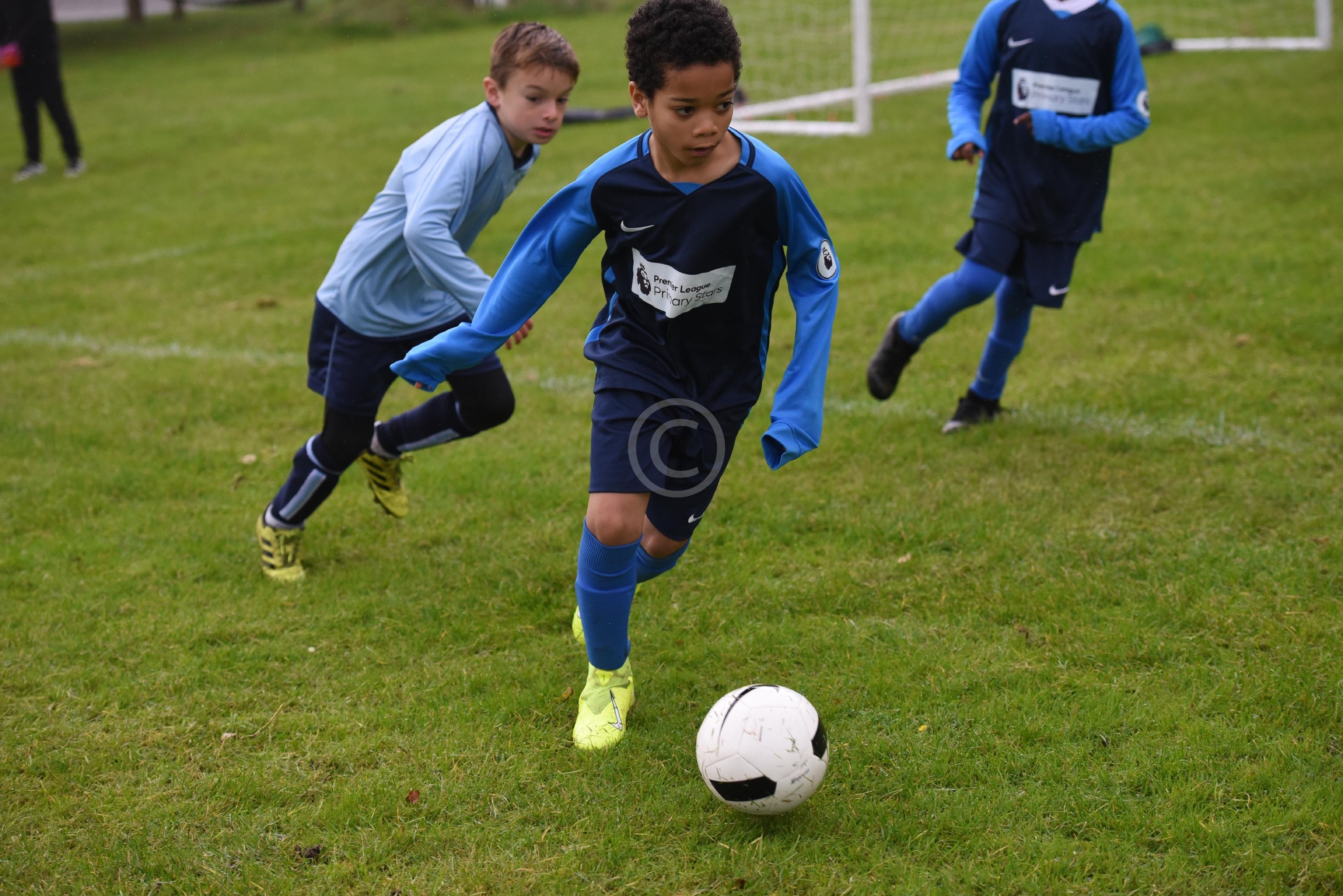 DEDWORTH 132064 - Photo 2 of 30 - Baylis Media Photos