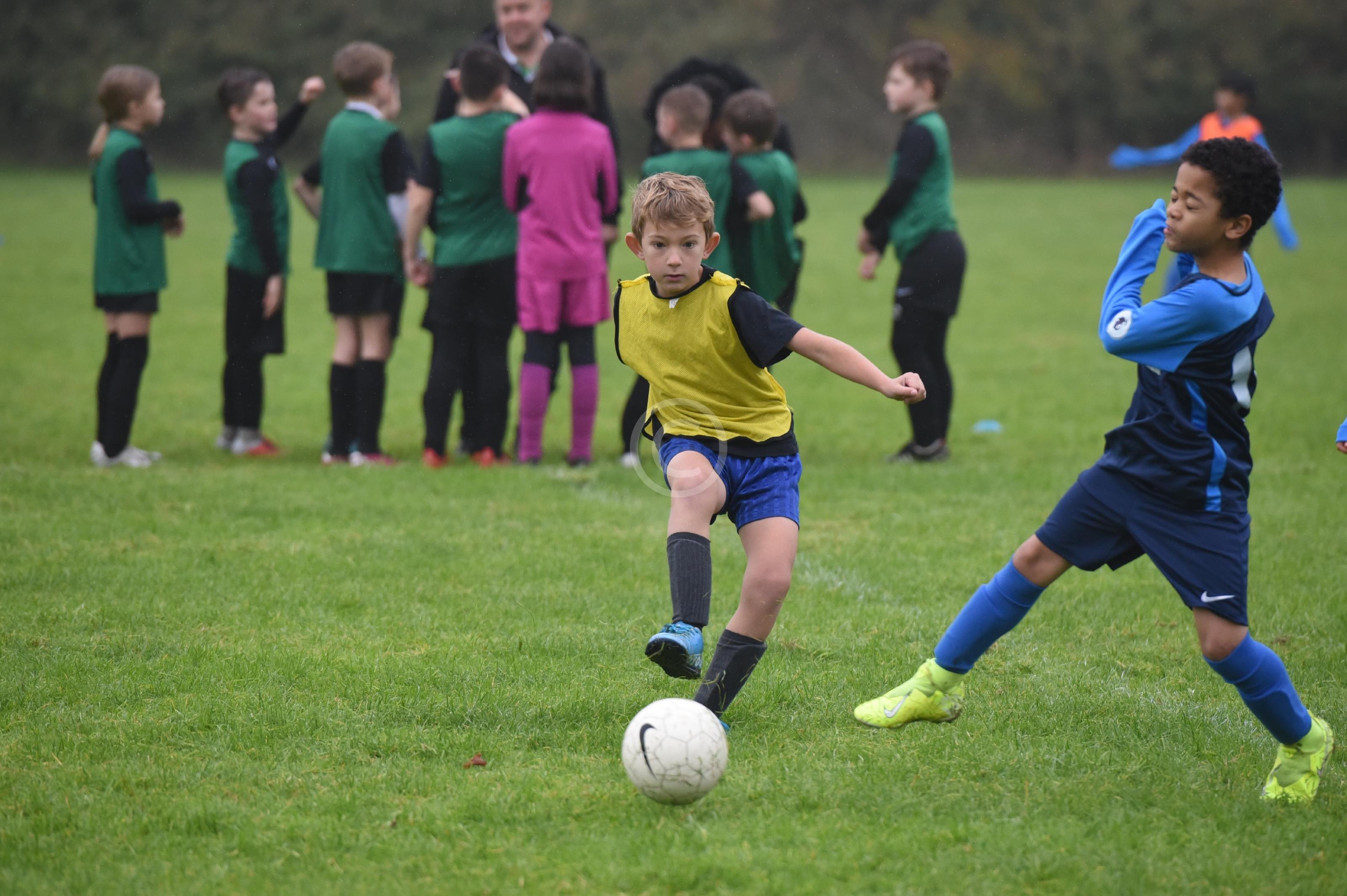 DEDWORTH 132064 - Photo 2 of 30 - Baylis Media Photos