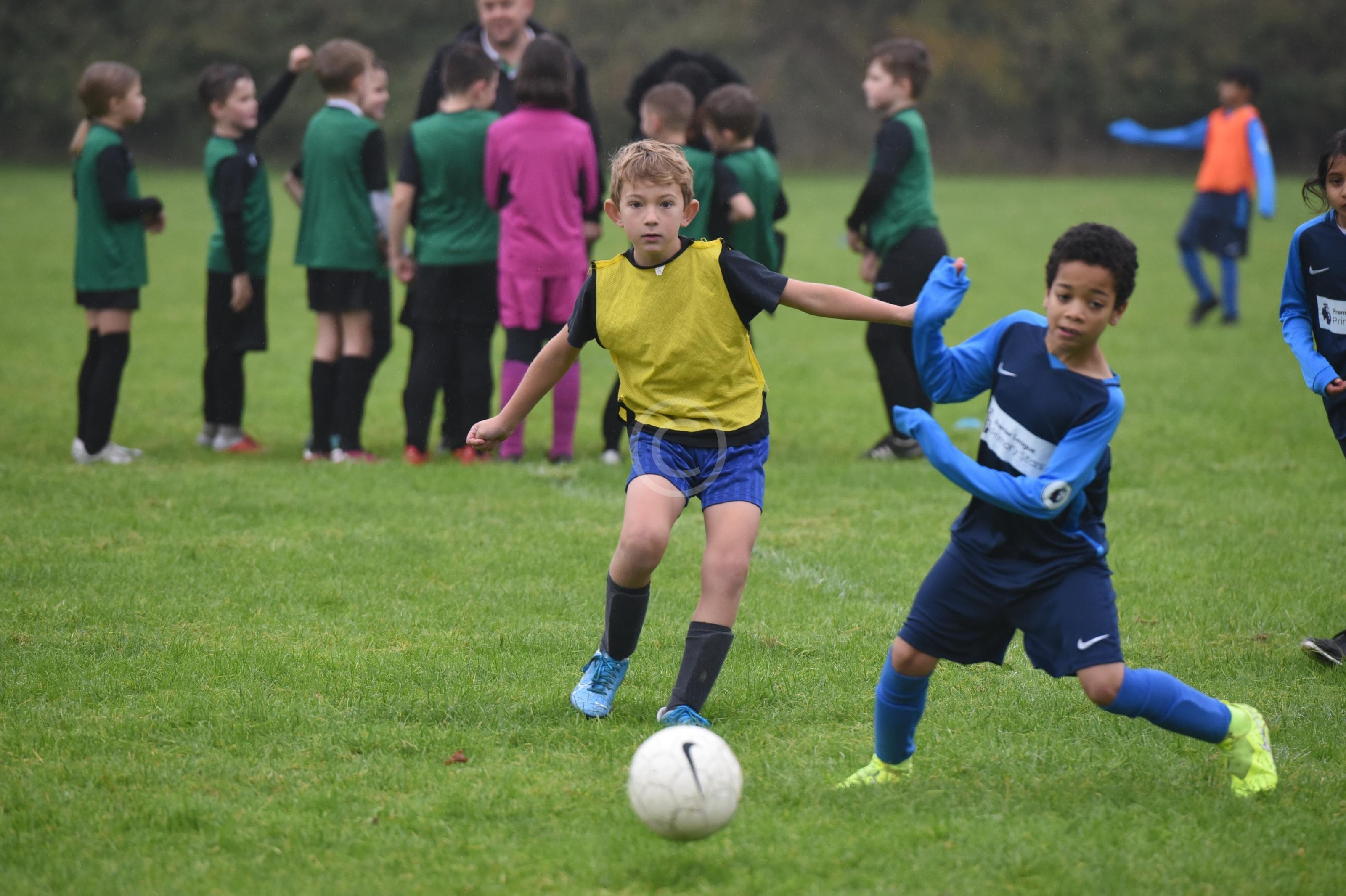 DEDWORTH 132064 - Photo 1 of 30 - Baylis Media Photos