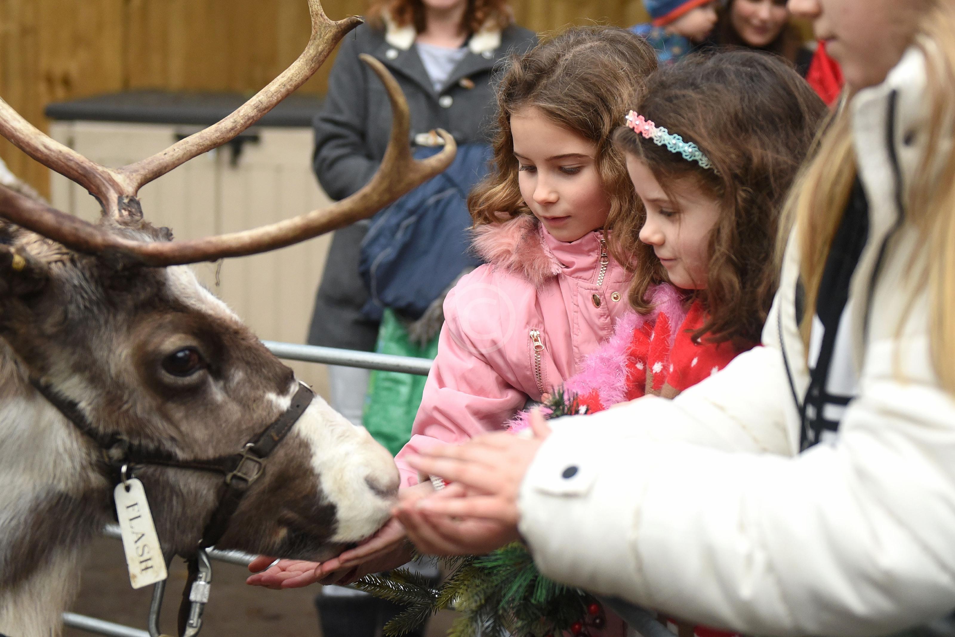 HURST 132242 - Photo 1 of 18 - Baylis Media Photos