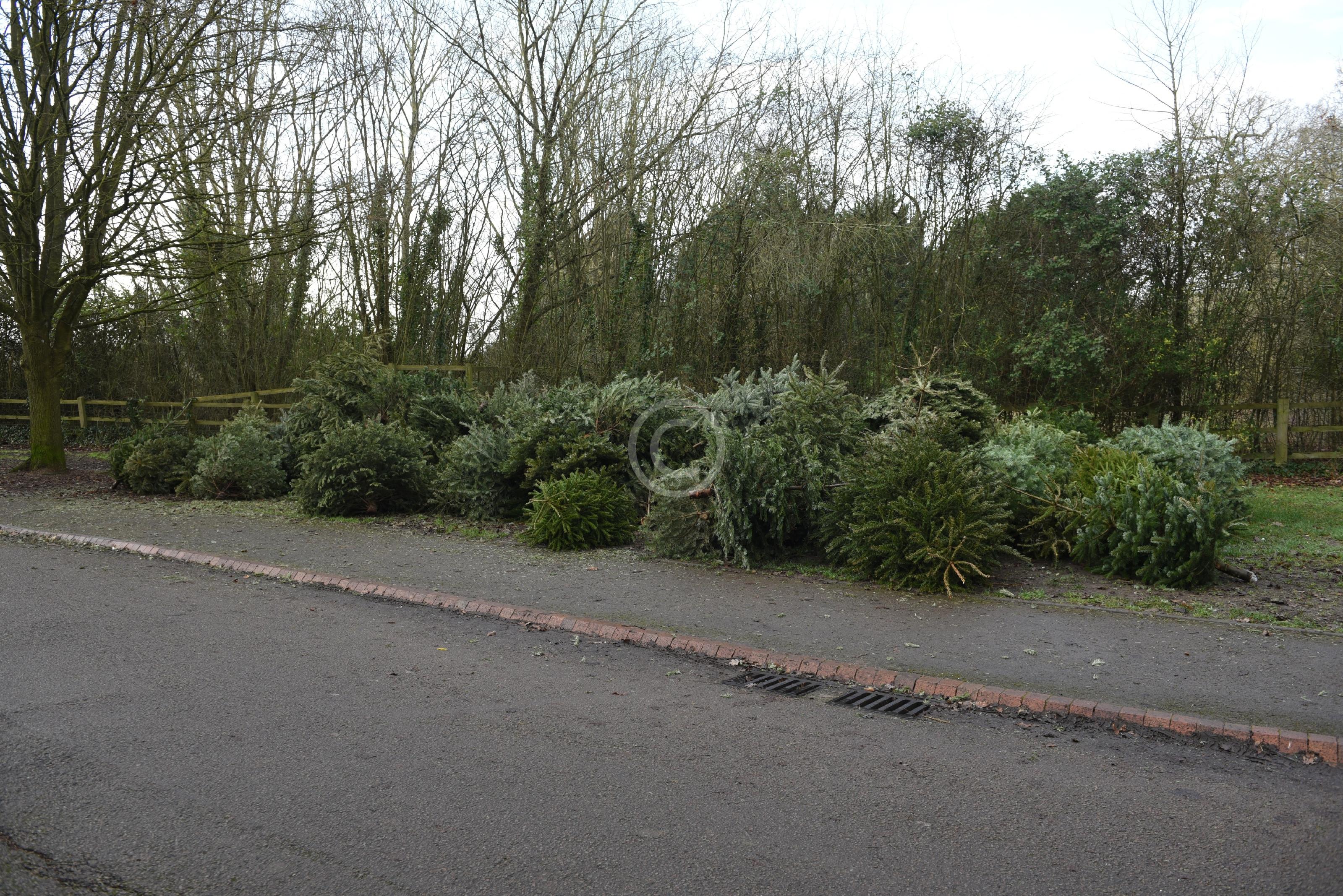 MAIDENHEAD 132336 - Photo 1 of 8 - Baylis Media Photos