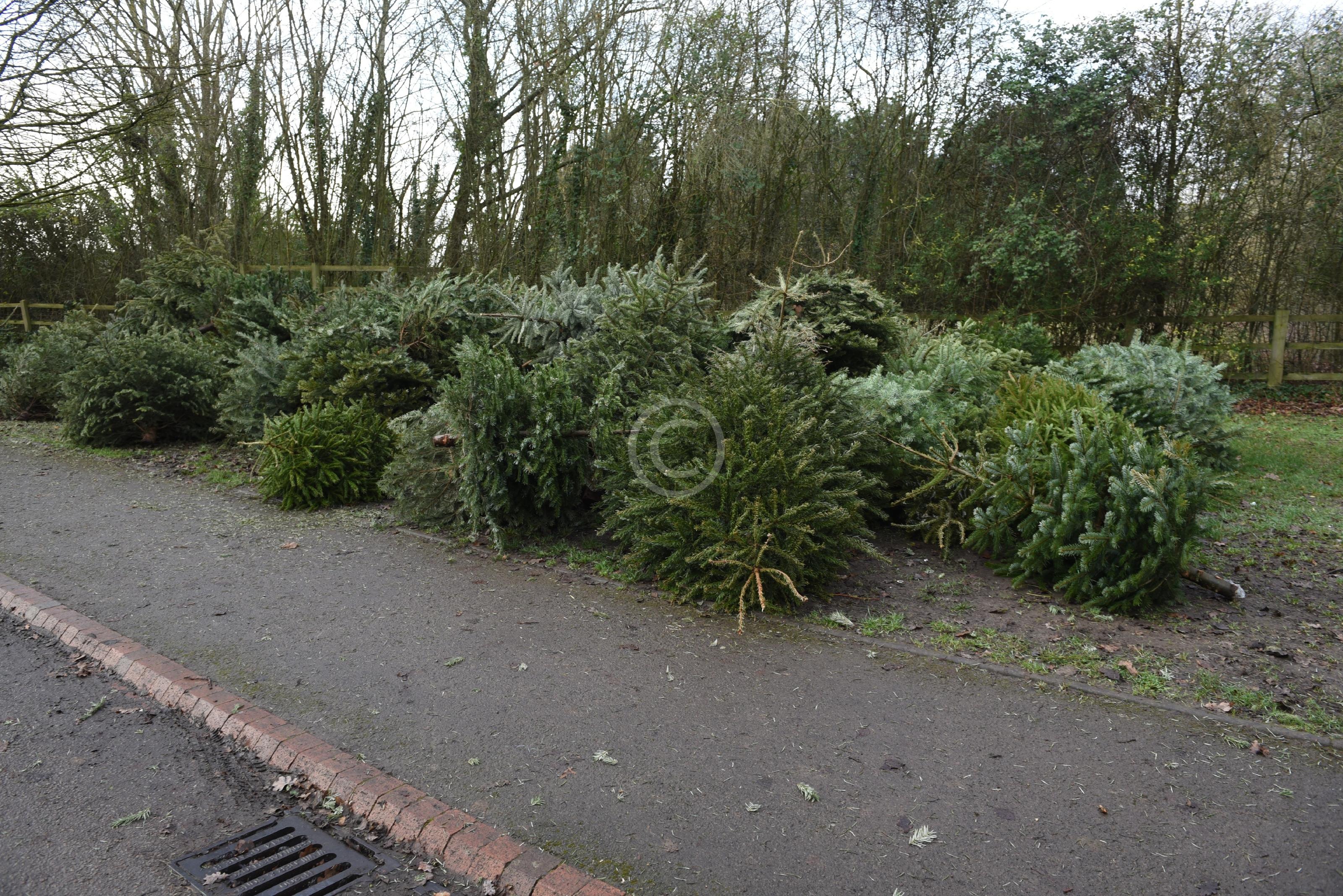 MAIDENHEAD 132336 - Photo 1 of 8 - Baylis Media Photos