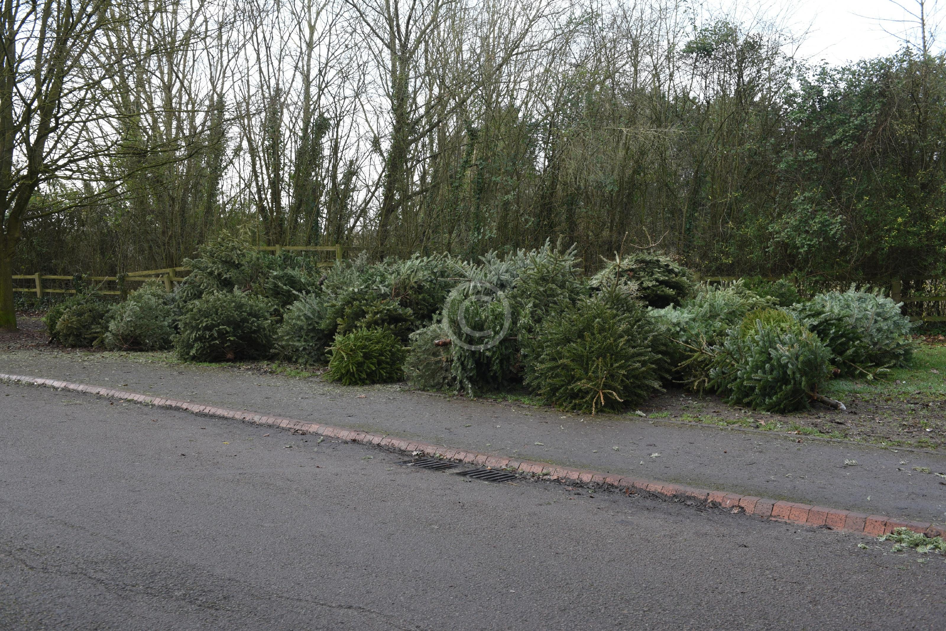 MAIDENHEAD 132336 - Photo 1 of 8 - Baylis Media Photos