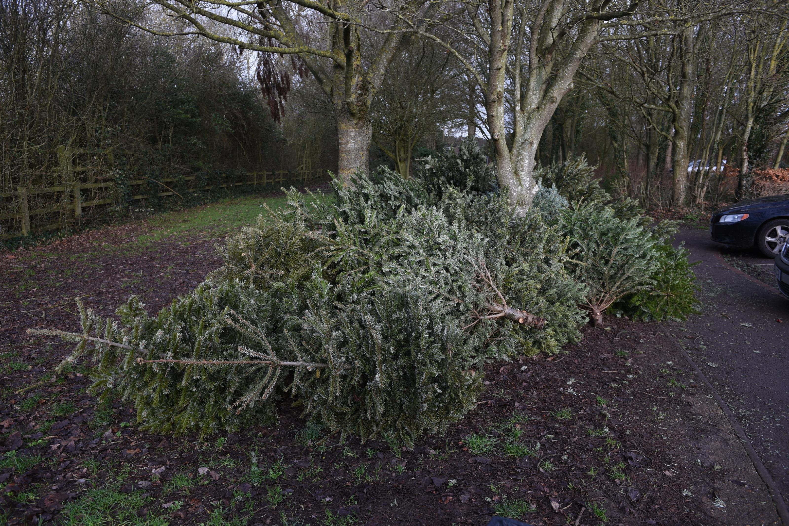 MAIDENHEAD 132336 - Photo 1 of 8 - Baylis Media Photos