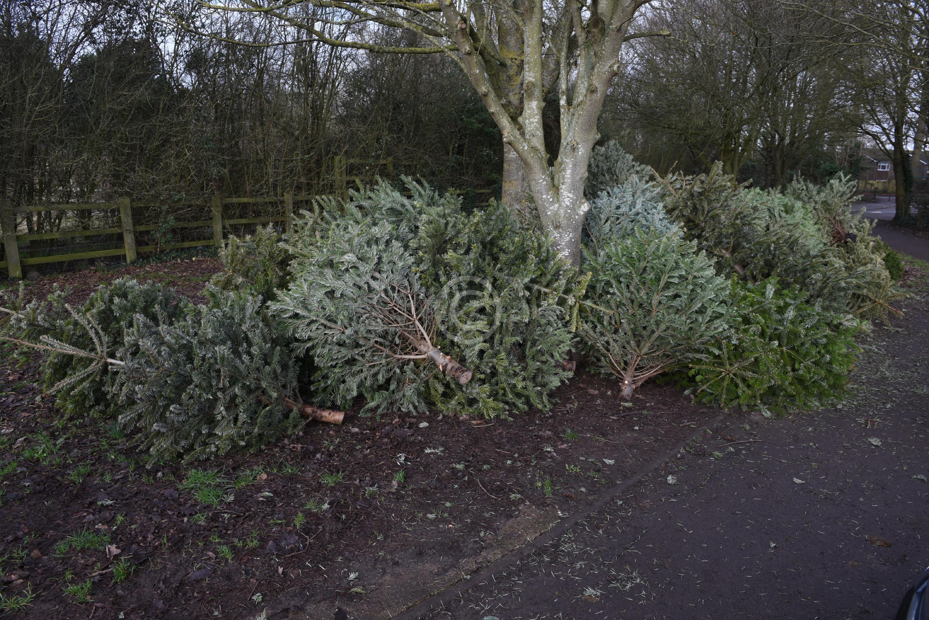 MAIDENHEAD 132336 - Photo 1 of 8 - Baylis Media Photos