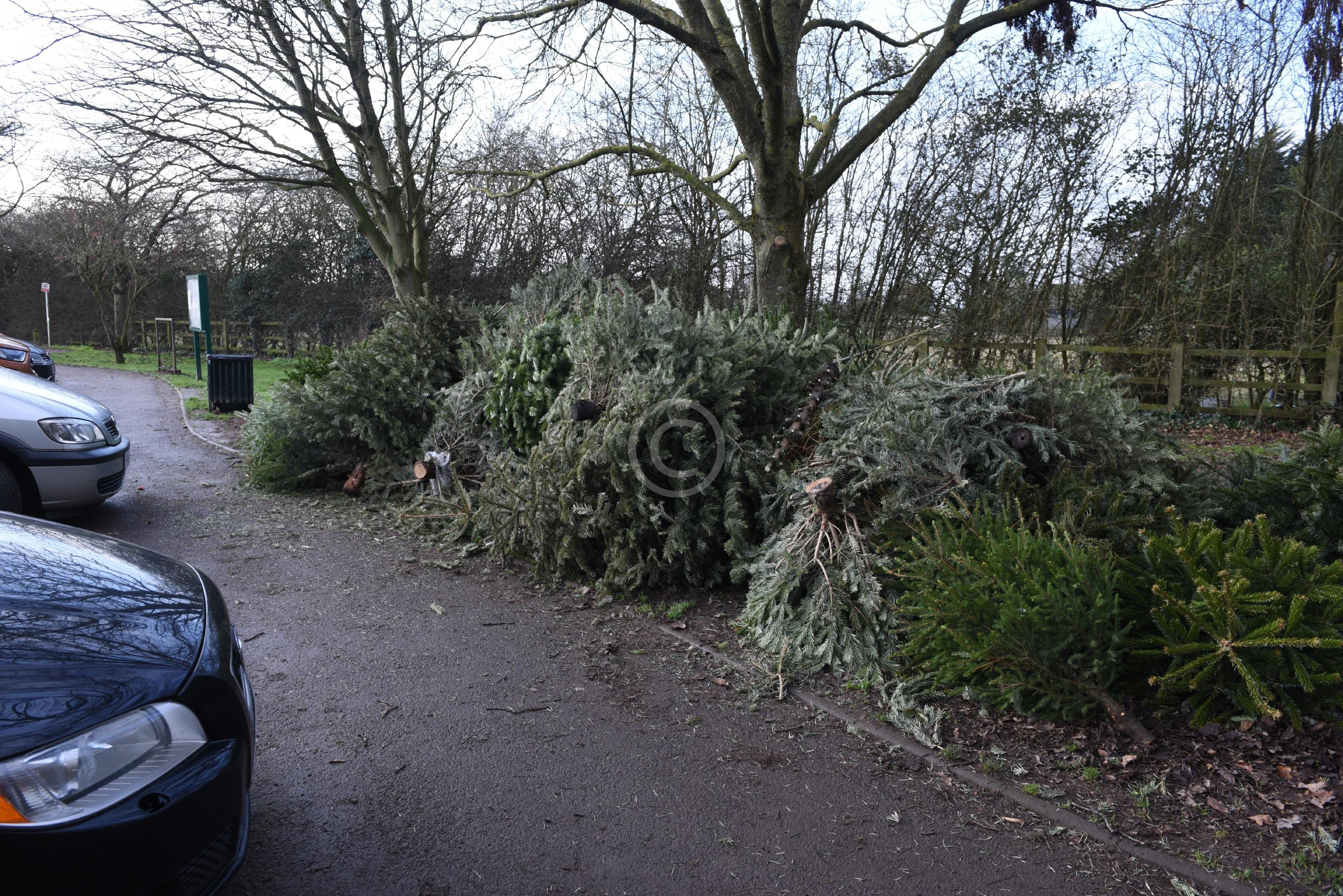 MAIDENHEAD 132336 - Photo 1 of 8 - Baylis Media Photos