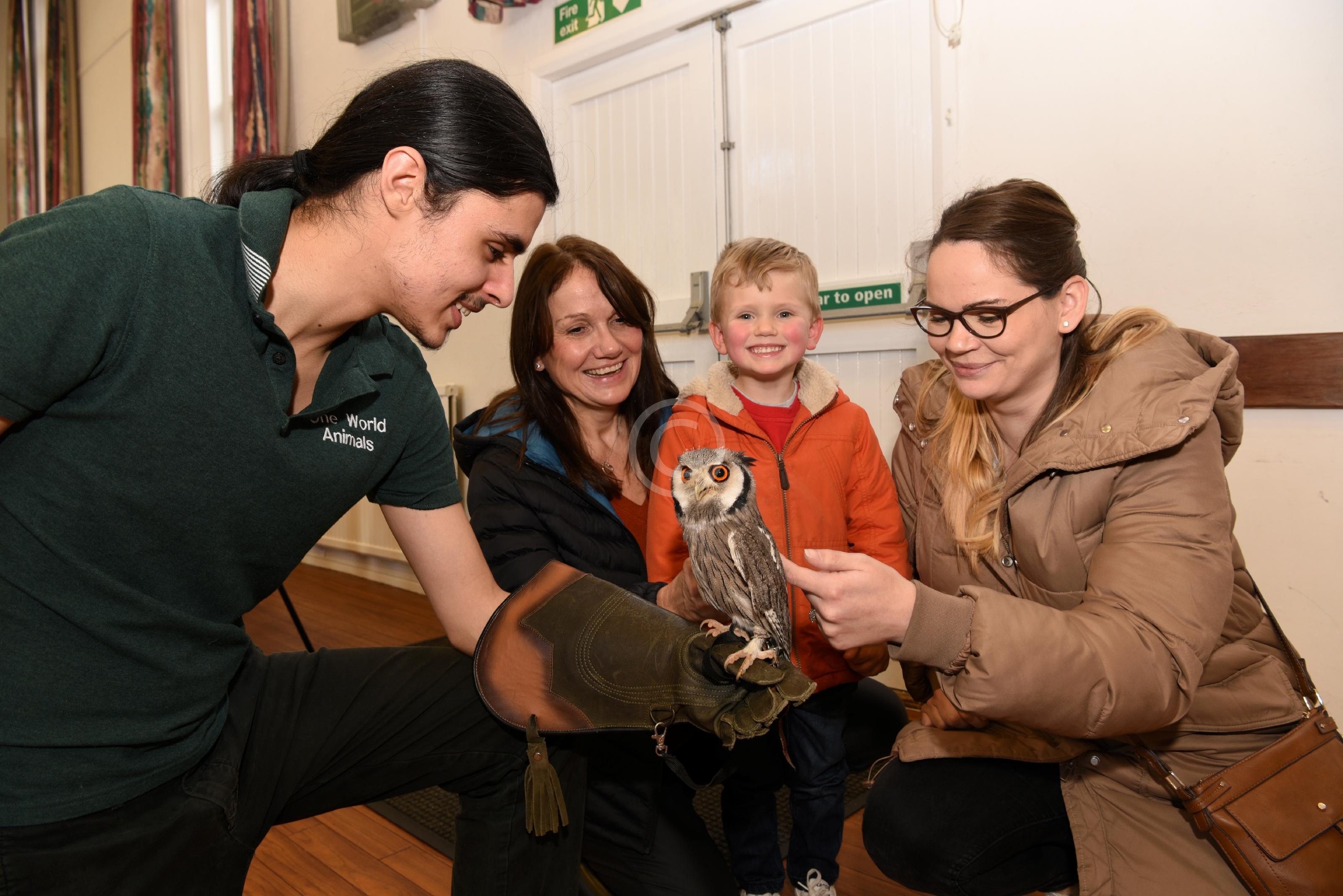 MARLOW 132469 - Photo 1 of 8 - Baylis Media Photos