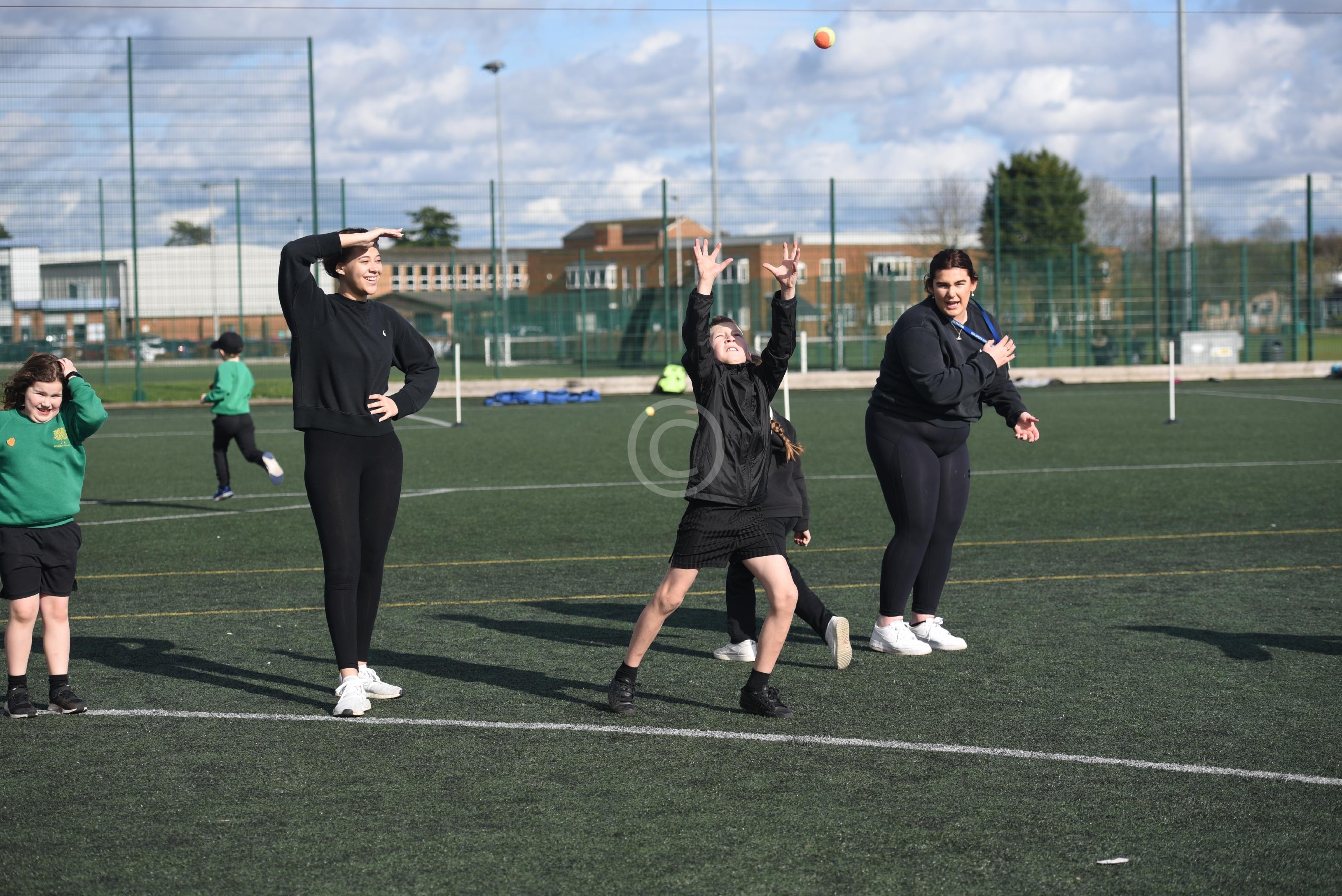 COX GREEN 132588 - Photo 1 of 20 - Baylis Media Photos