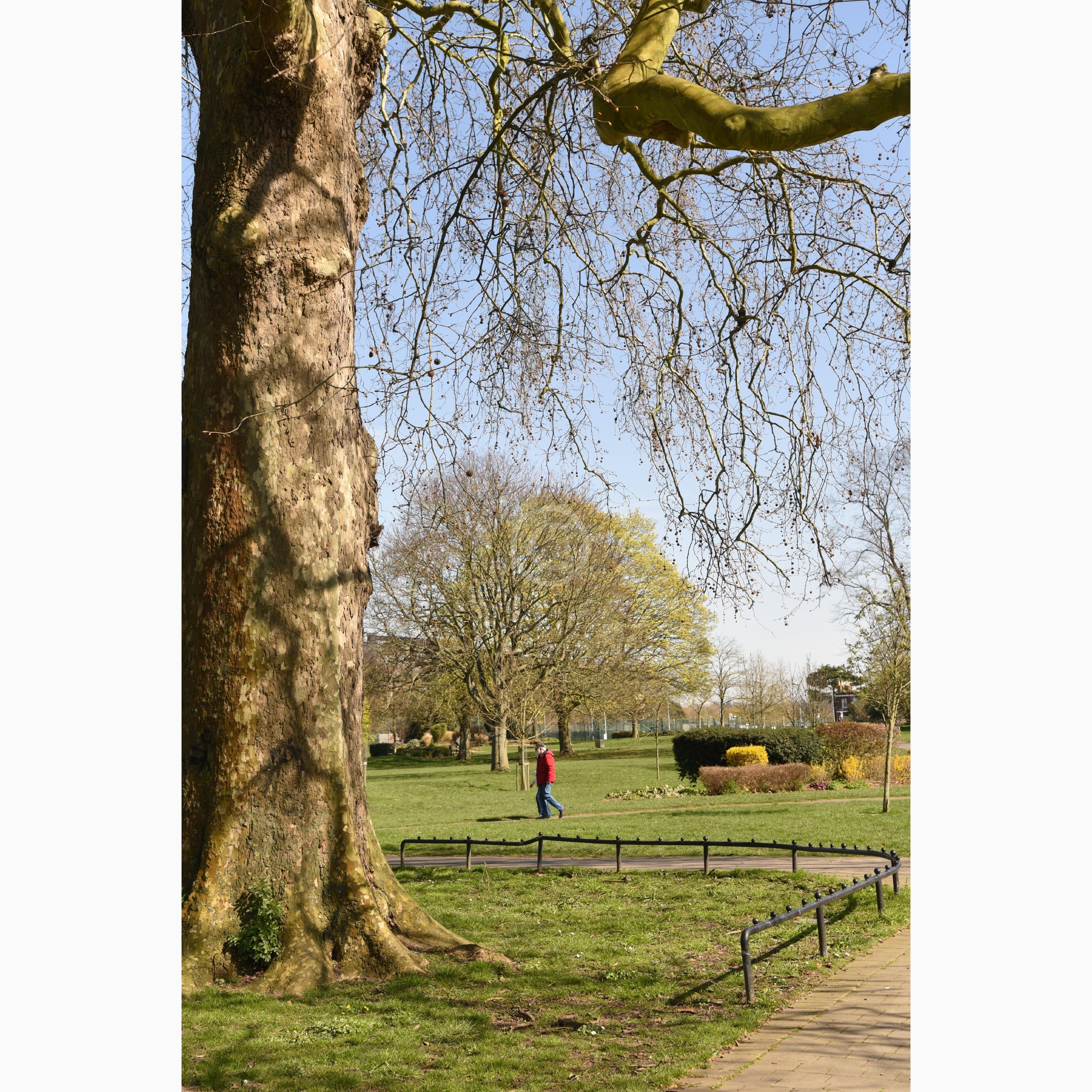 MAIDENHEAD 132635 - Photo 3 of 3 - Baylis Media Photos