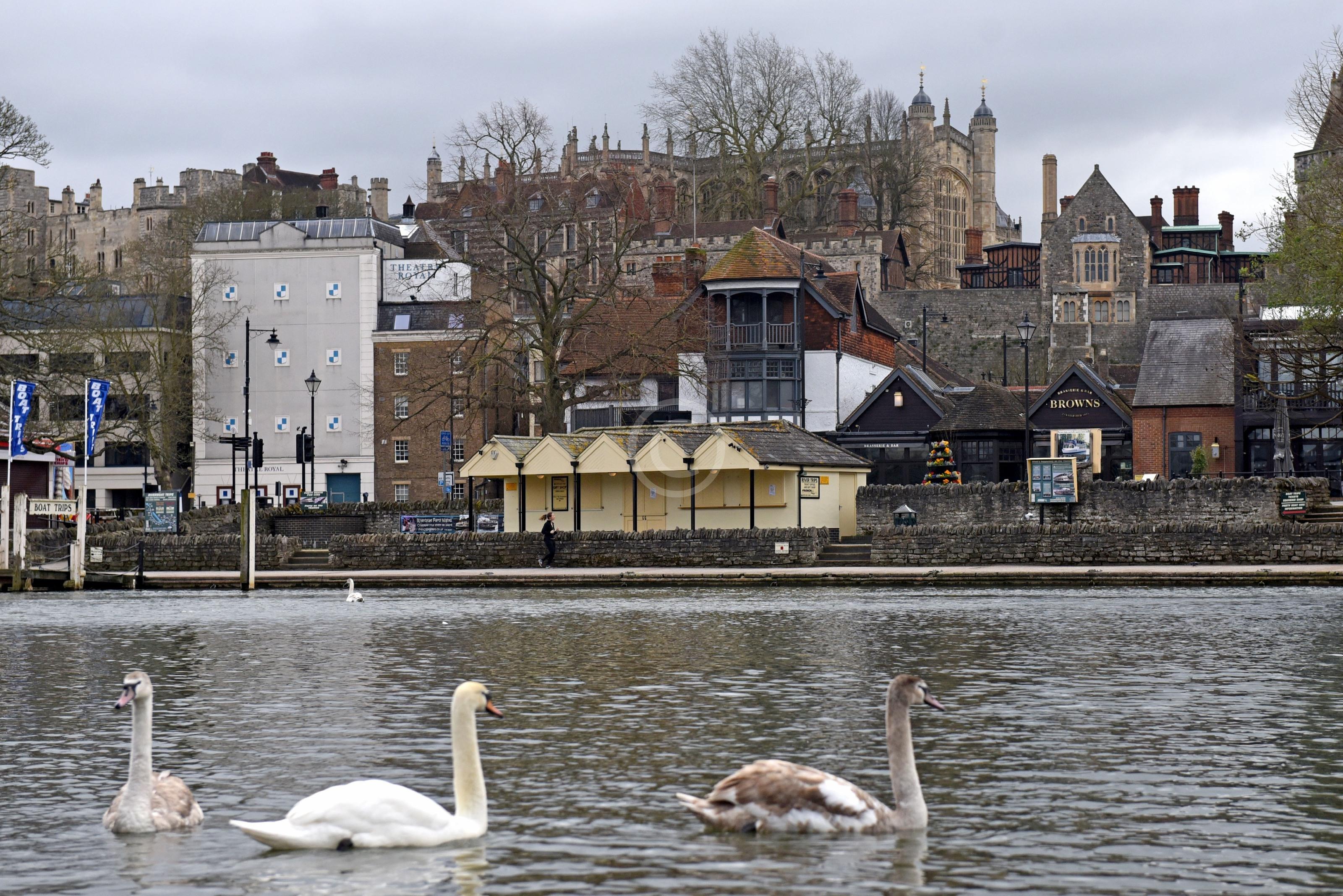 ETON 132670 - Photo 1 of 15 - Baylis Media Photos