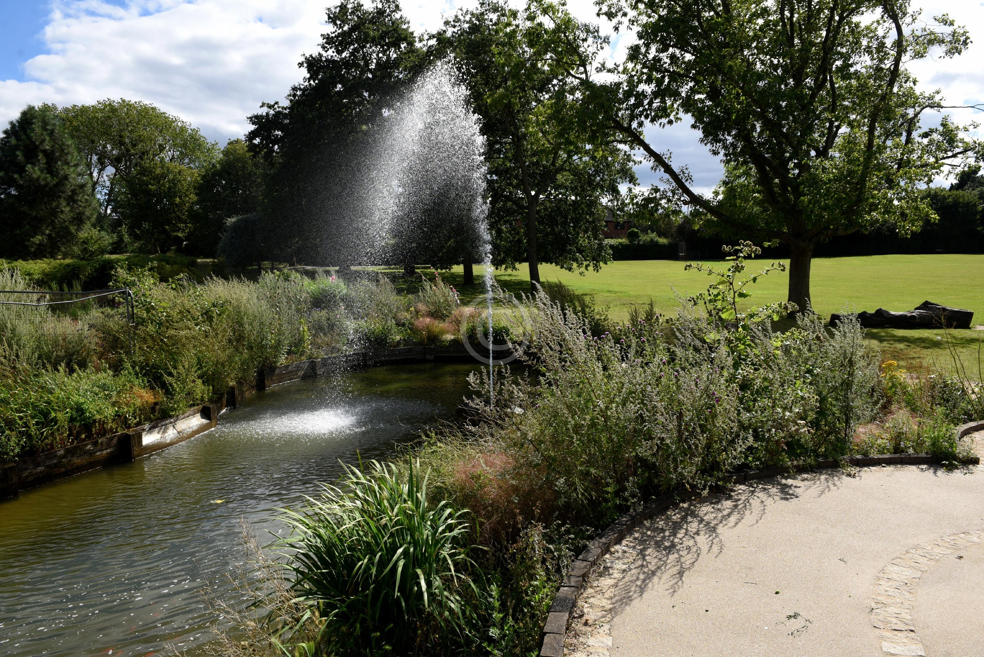 MAIDENHEAD 132854 - Photo 1 of 12 - Baylis Media Photos