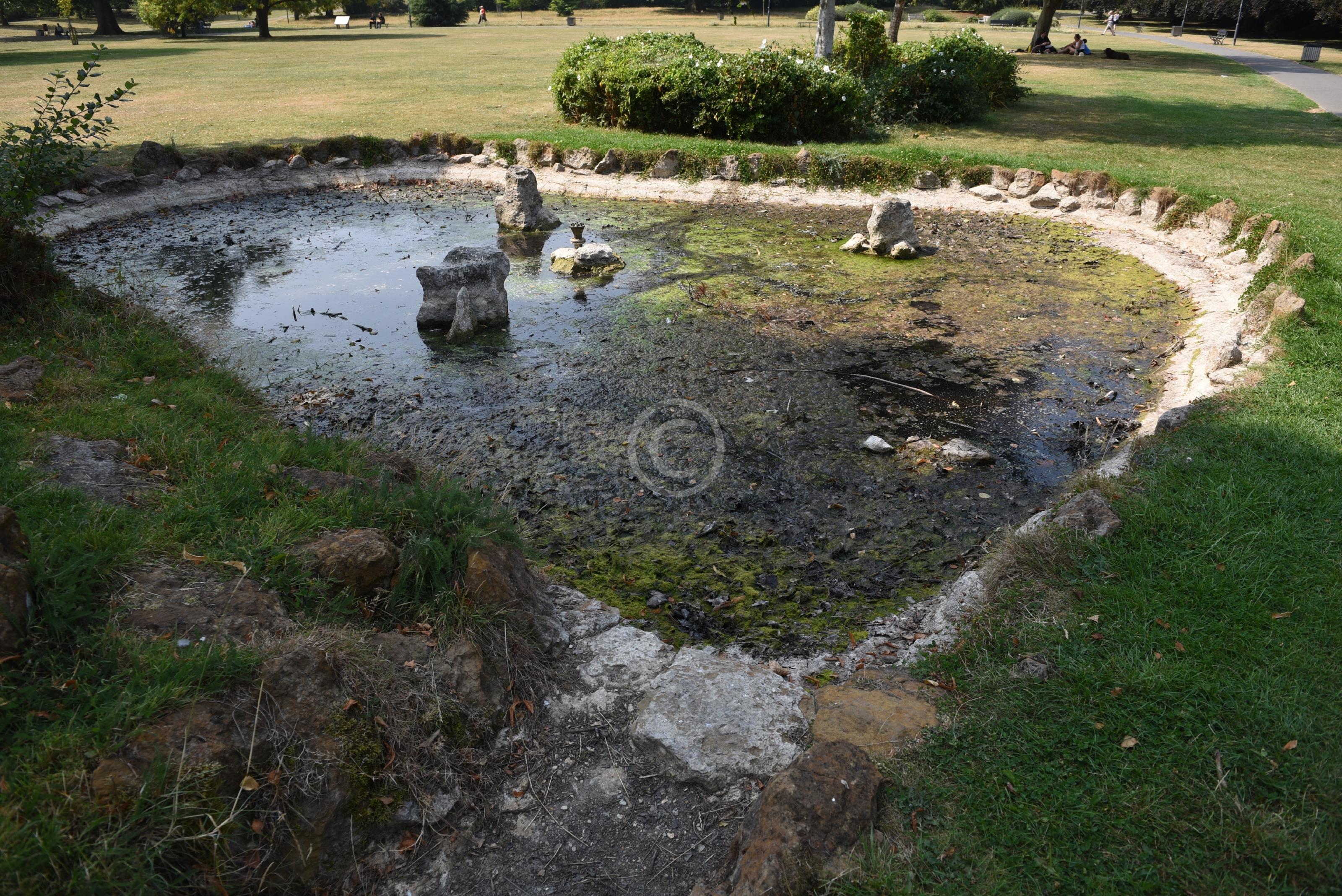 MAIDENHEAD 132891 - Photo 1 of 11 - Baylis Media Photos