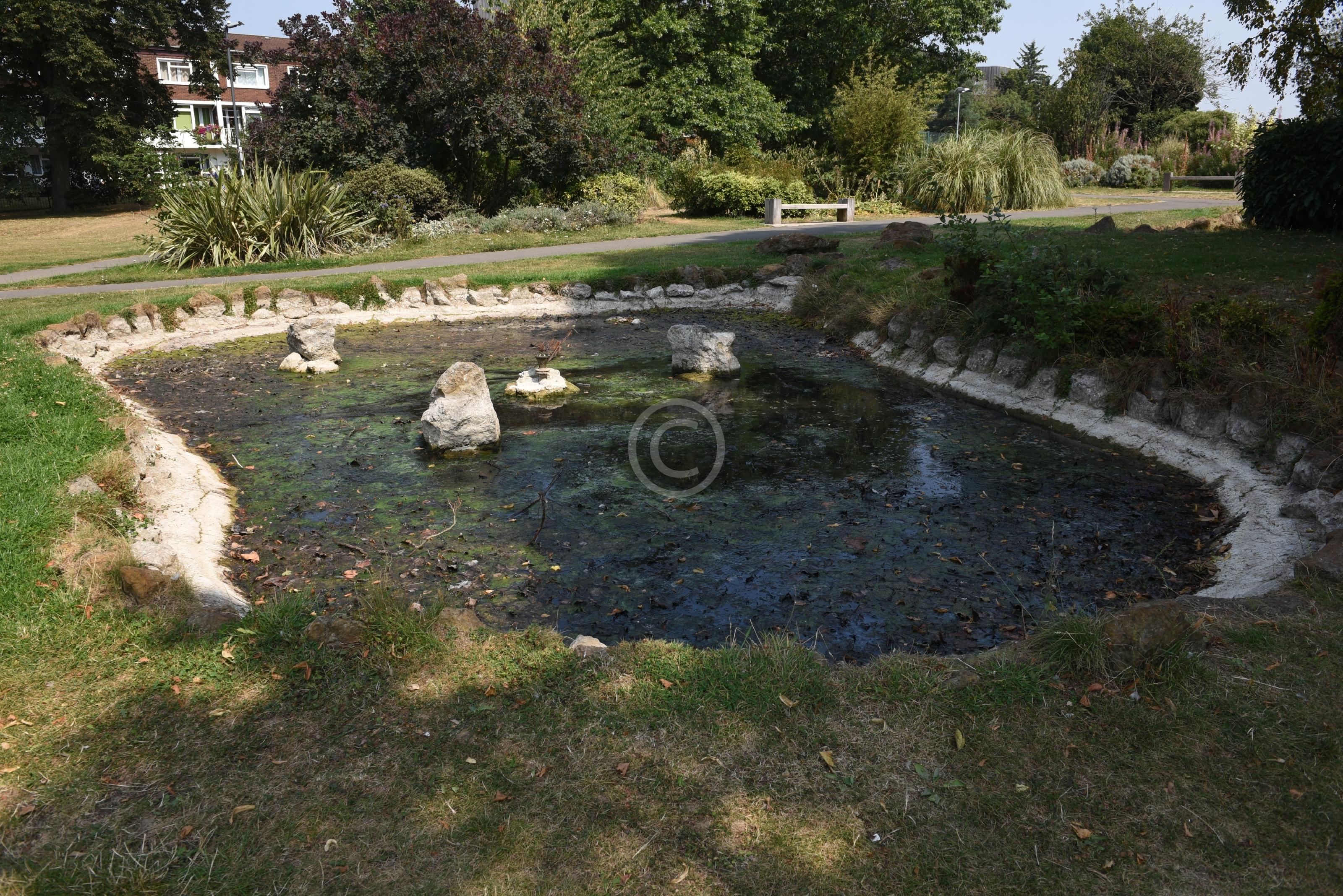 MAIDENHEAD 132891 - Photo 1 of 11 - Baylis Media Photos