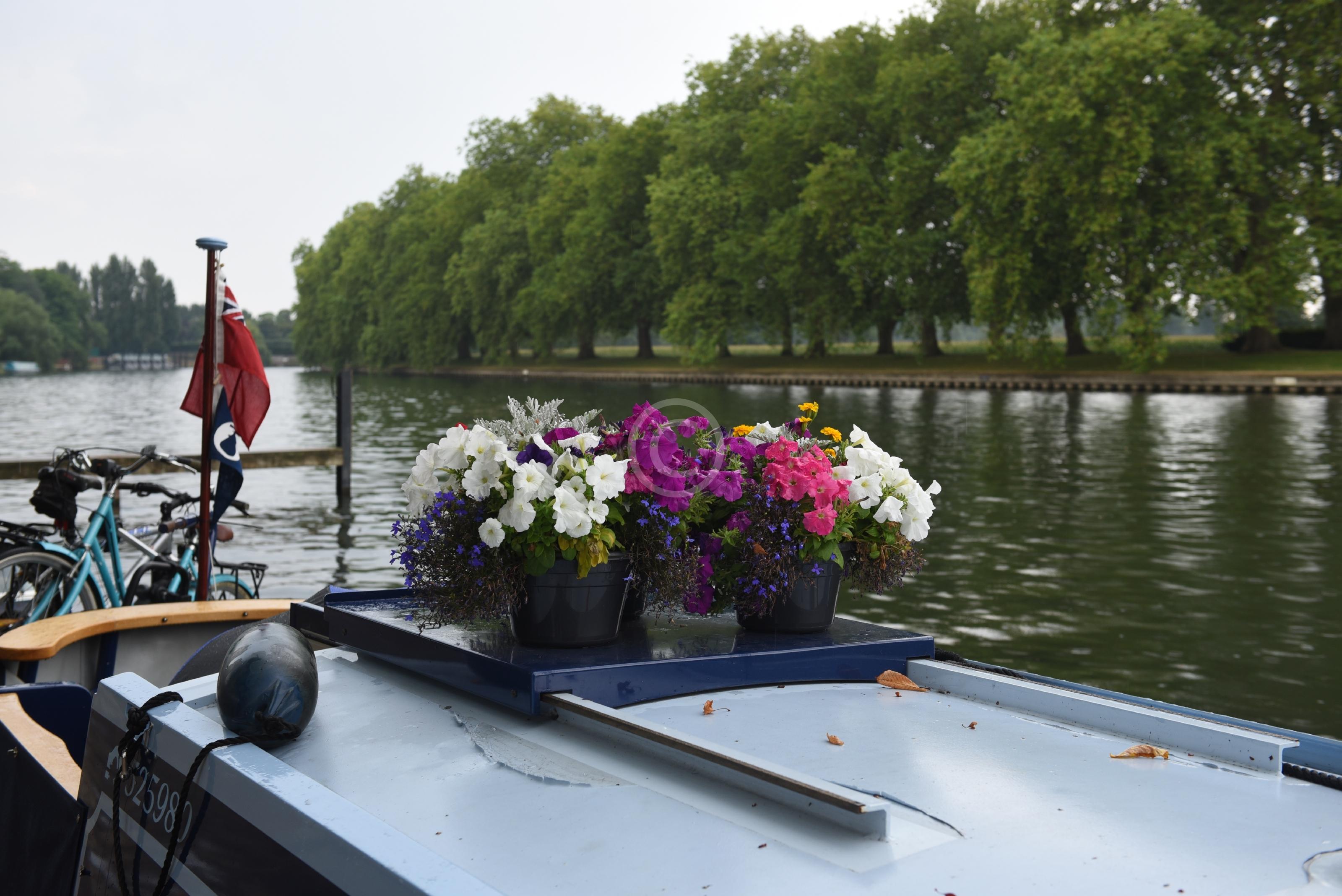 DATCHET 132896 - Photo 1 of 8 - Baylis Media Photos