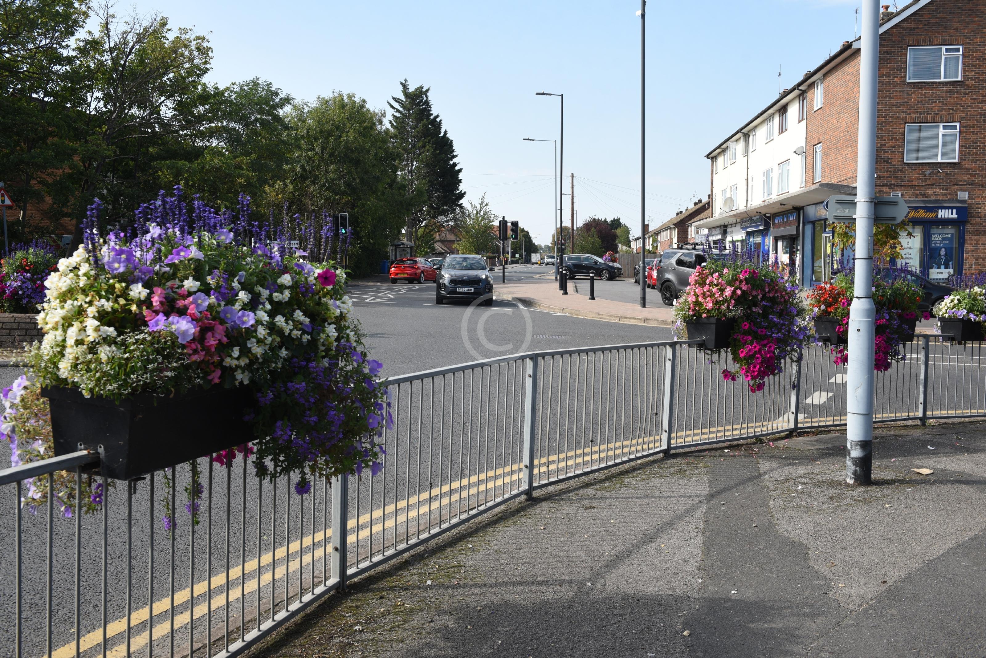 DEDWORTH 132988 - Photo 1 of 10 - Baylis Media Photos