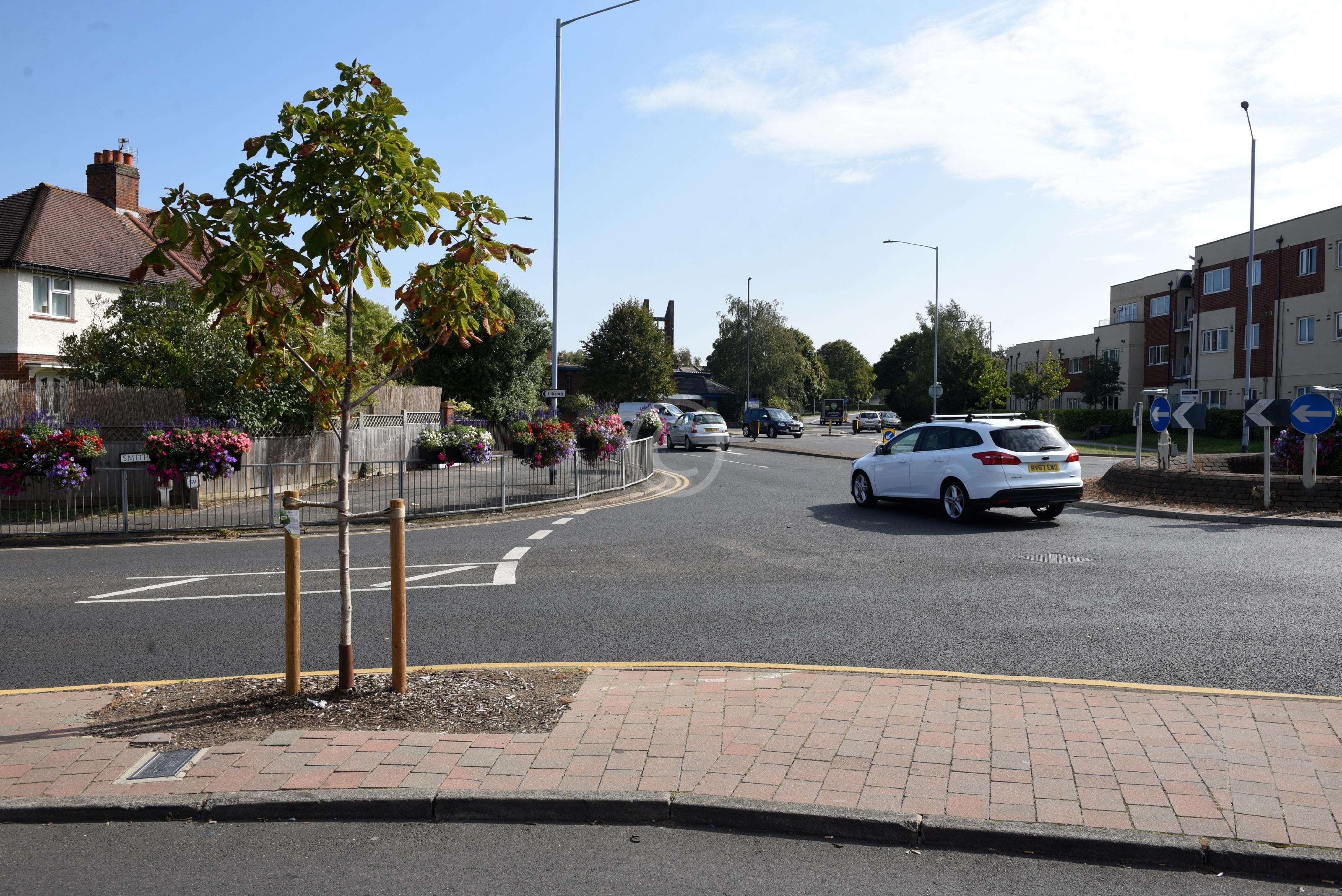 DEDWORTH 132988 - Photo 1 of 10 - Baylis Media Photos