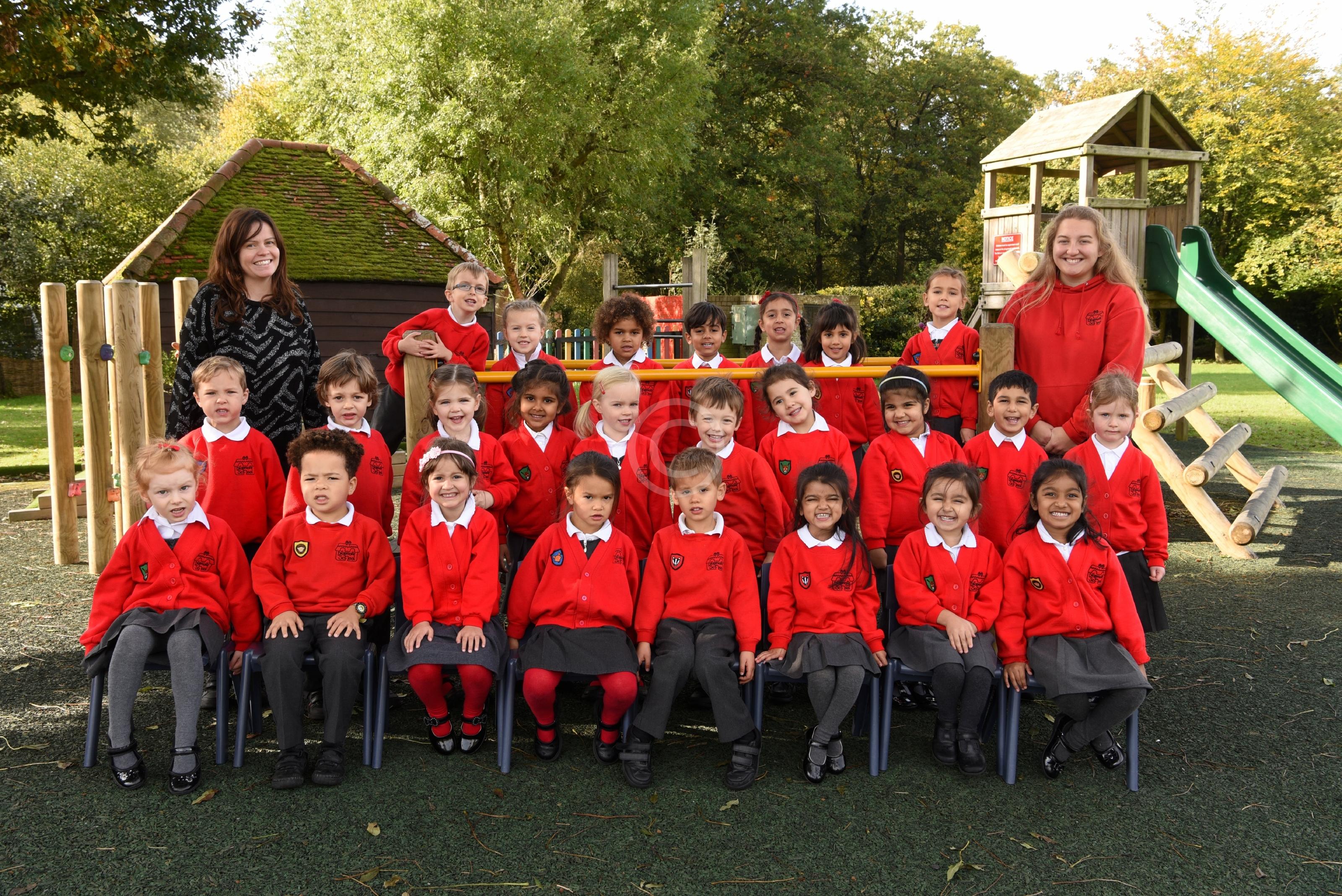 FIRST CLASS 133071 - Photo 1 of 4 - Baylis Media Photos