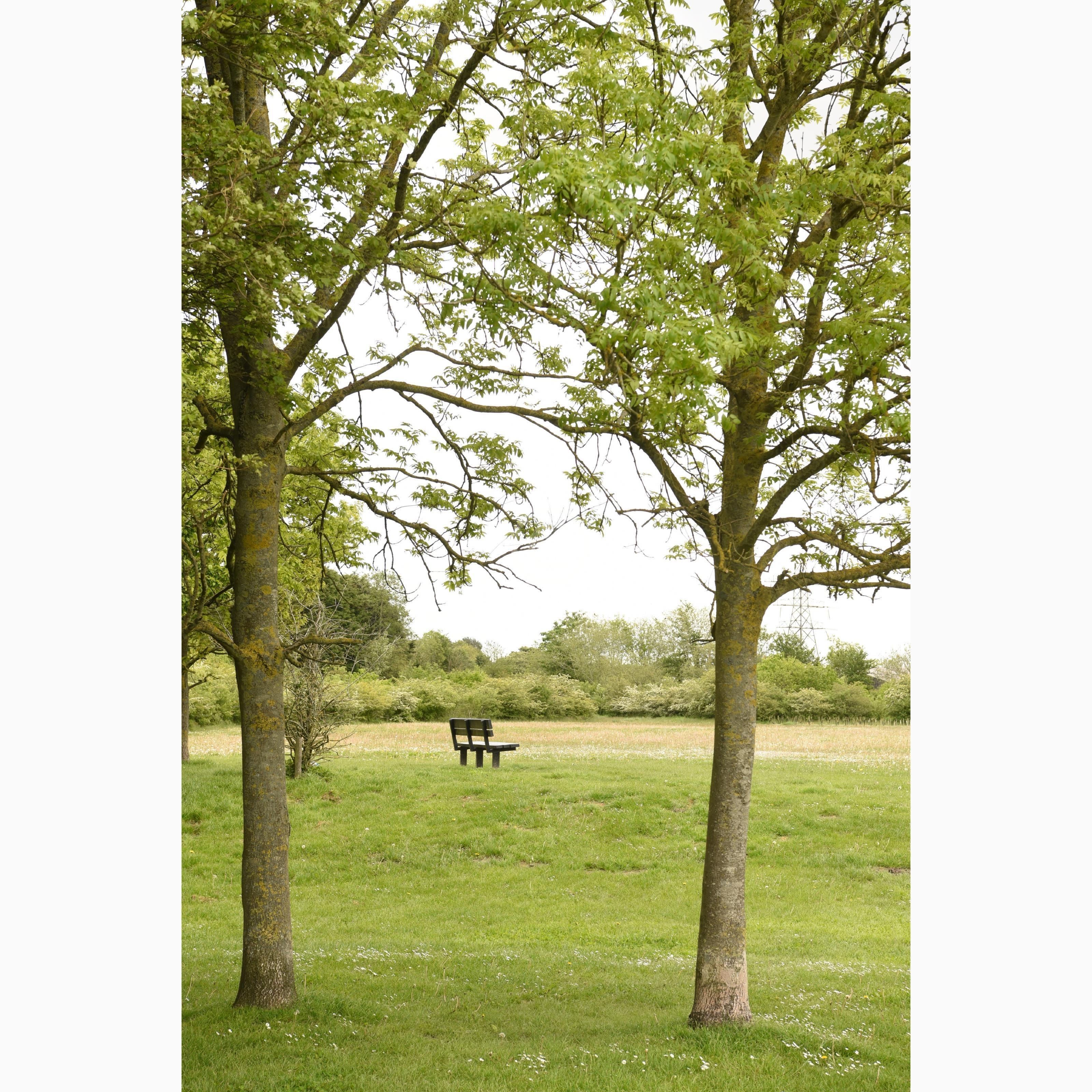 MAIDENHEAD 133557 - Photo 1 of 4 - Baylis Media Photos