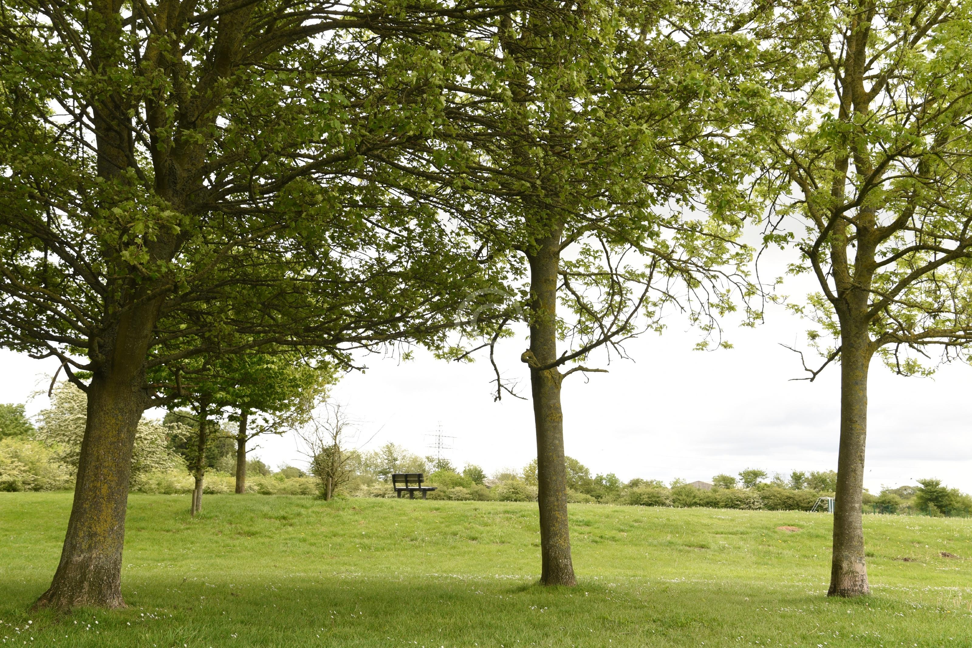 MAIDENHEAD 133557 - Photo 1 of 4 - Baylis Media Photos