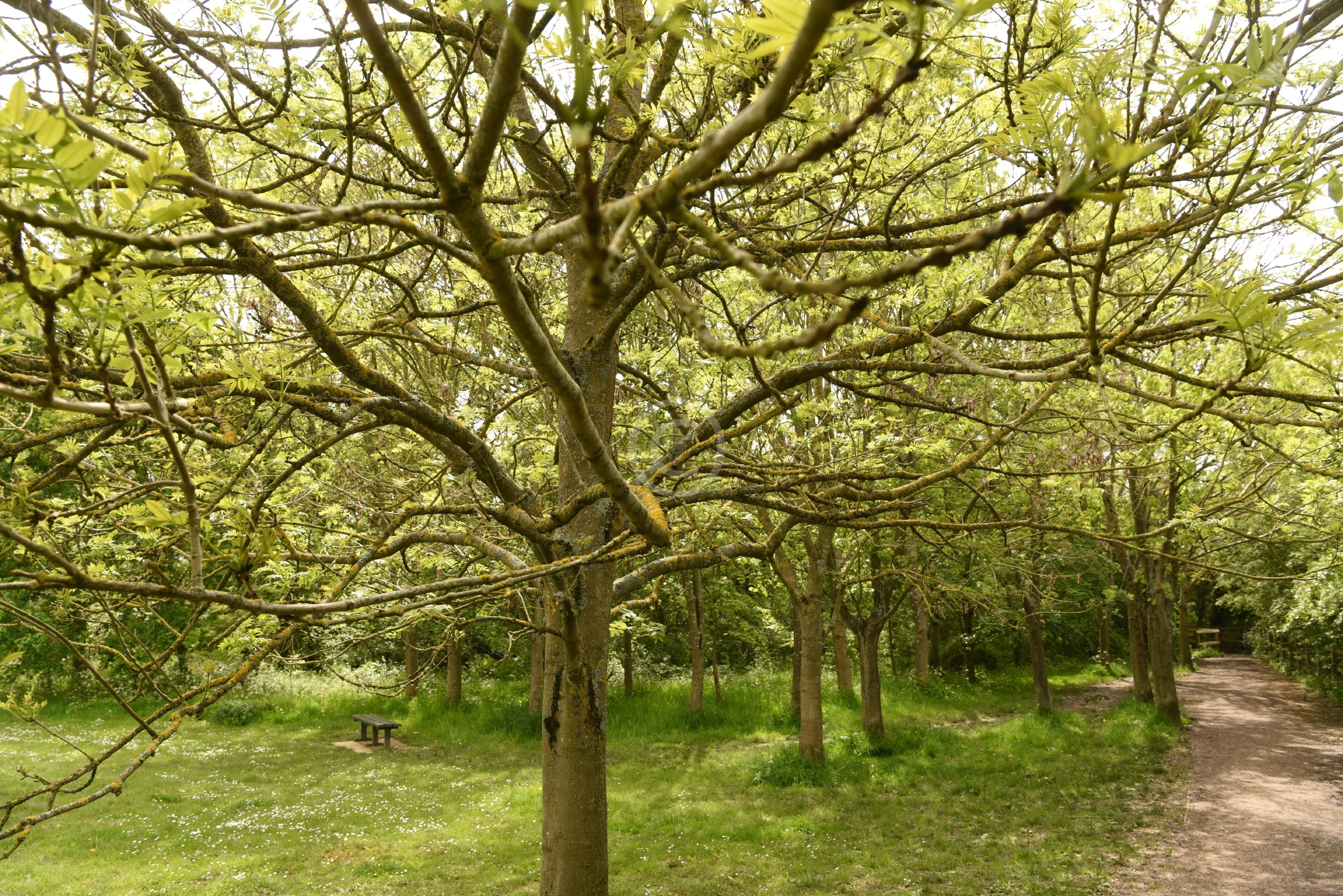 MAIDENHEAD 133557 - Photo 1 of 4 - Baylis Media Photos