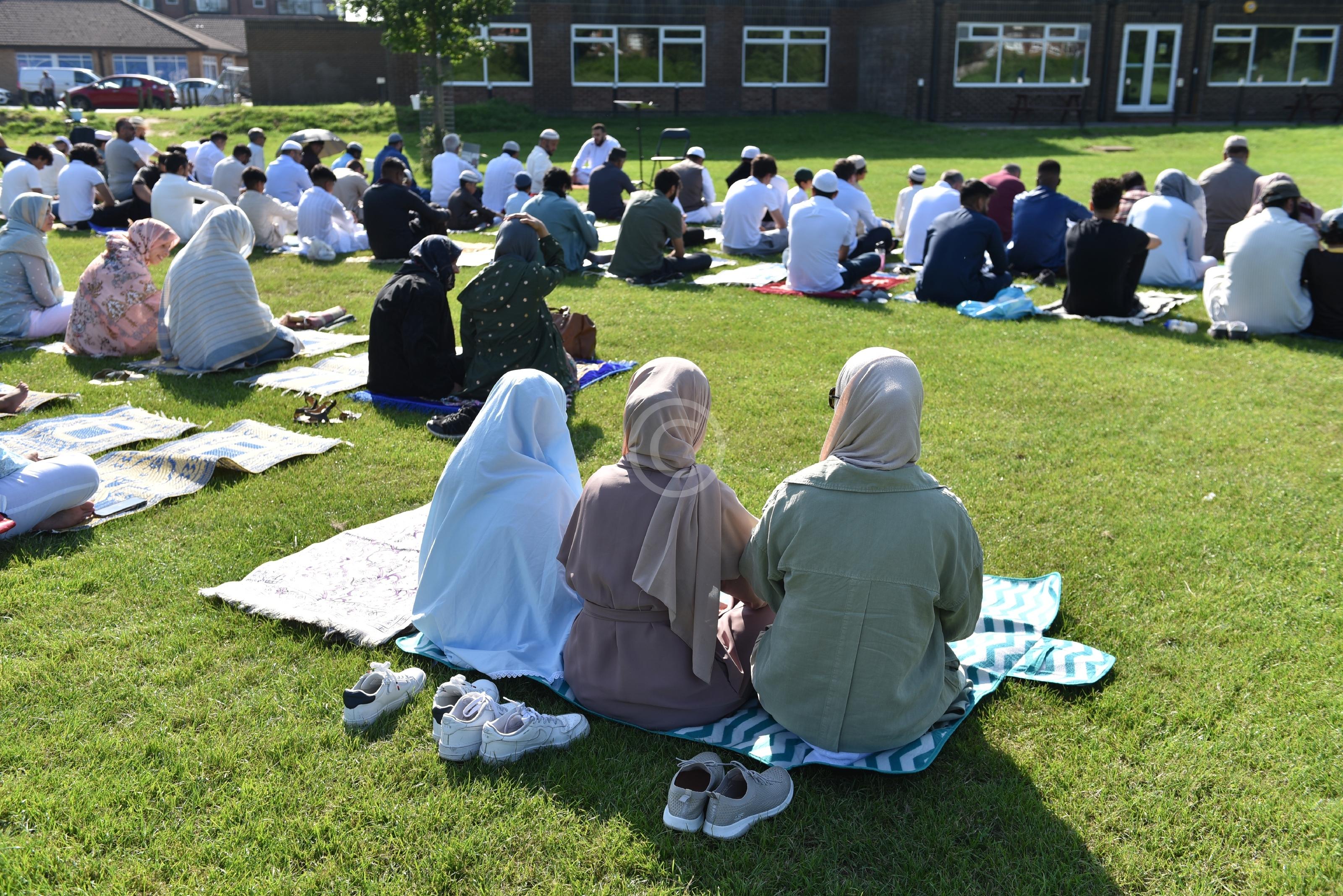 WINDSOR 133662 - Photo 2 of 22 - Baylis Media Photos