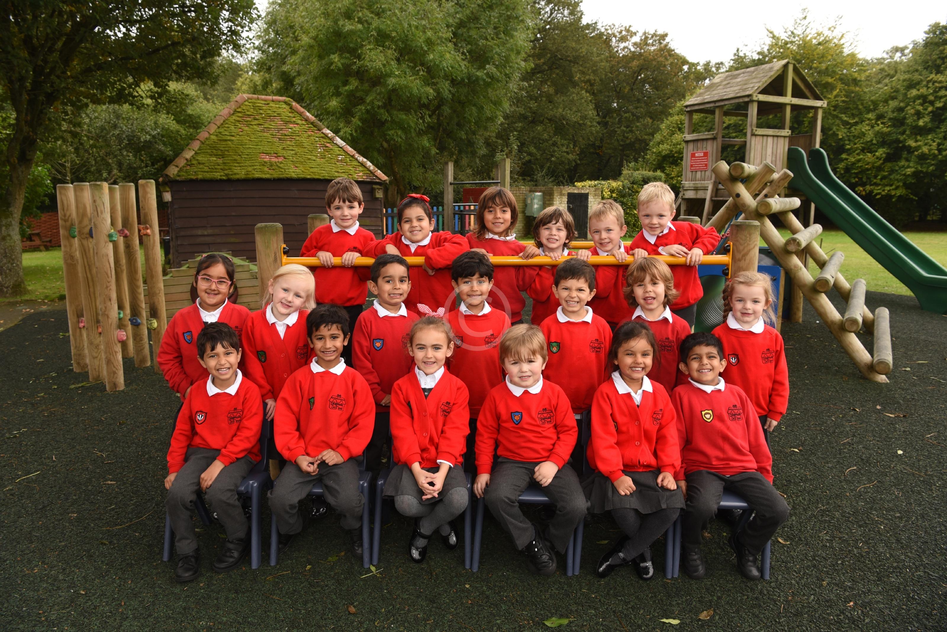 First Class 133916 - Photo 2 of 12 - Baylis Media Photos