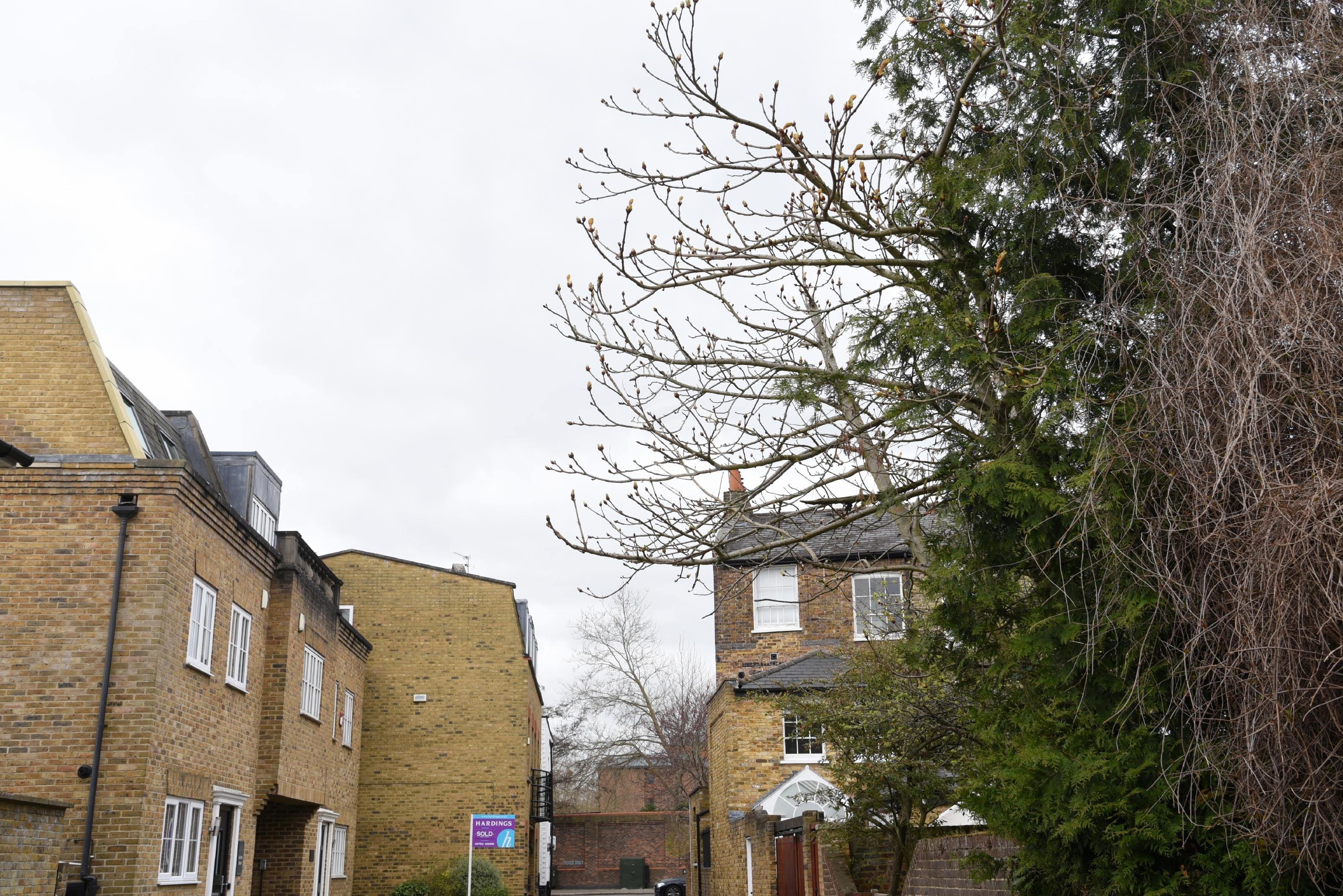 WINDSOR 134373 - Photo 1 of 4 - Baylis Media Photos