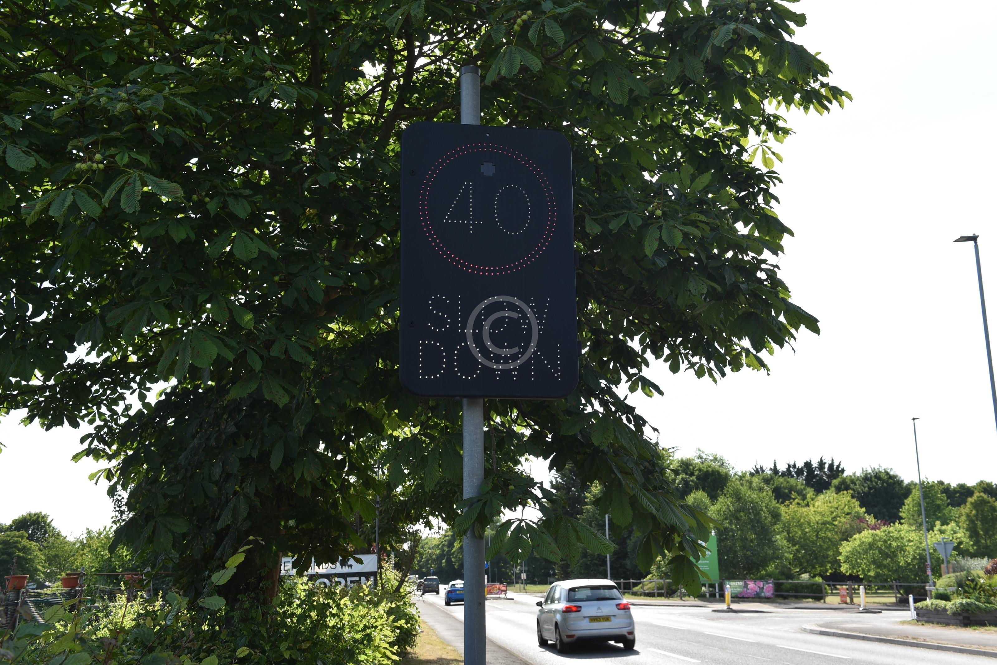 HARE HATCH 134634 - Photo 1 of 7 - Baylis Media Photos