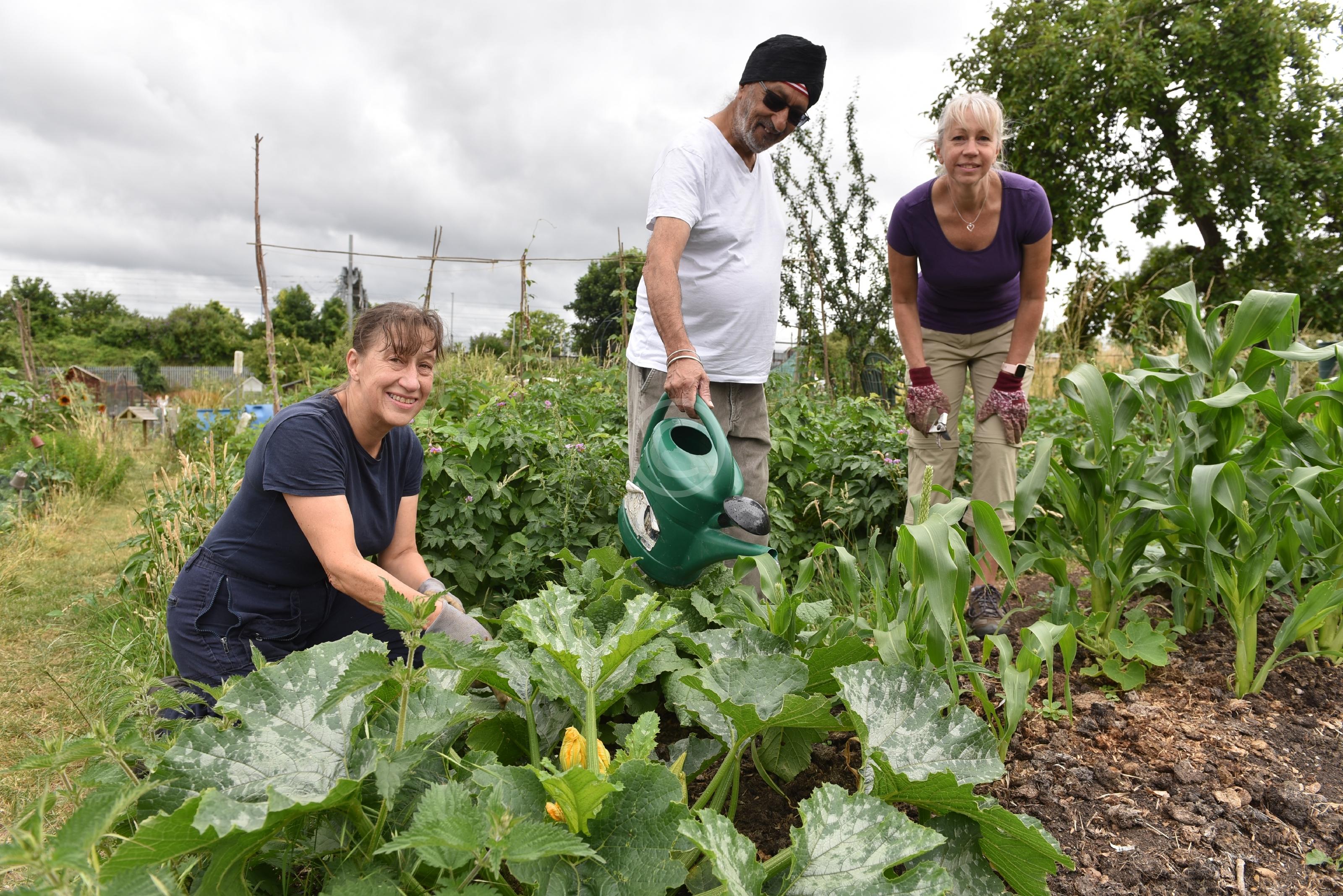 TWYFORD 134677 - Photo 2 of 5 - Baylis Media Photos