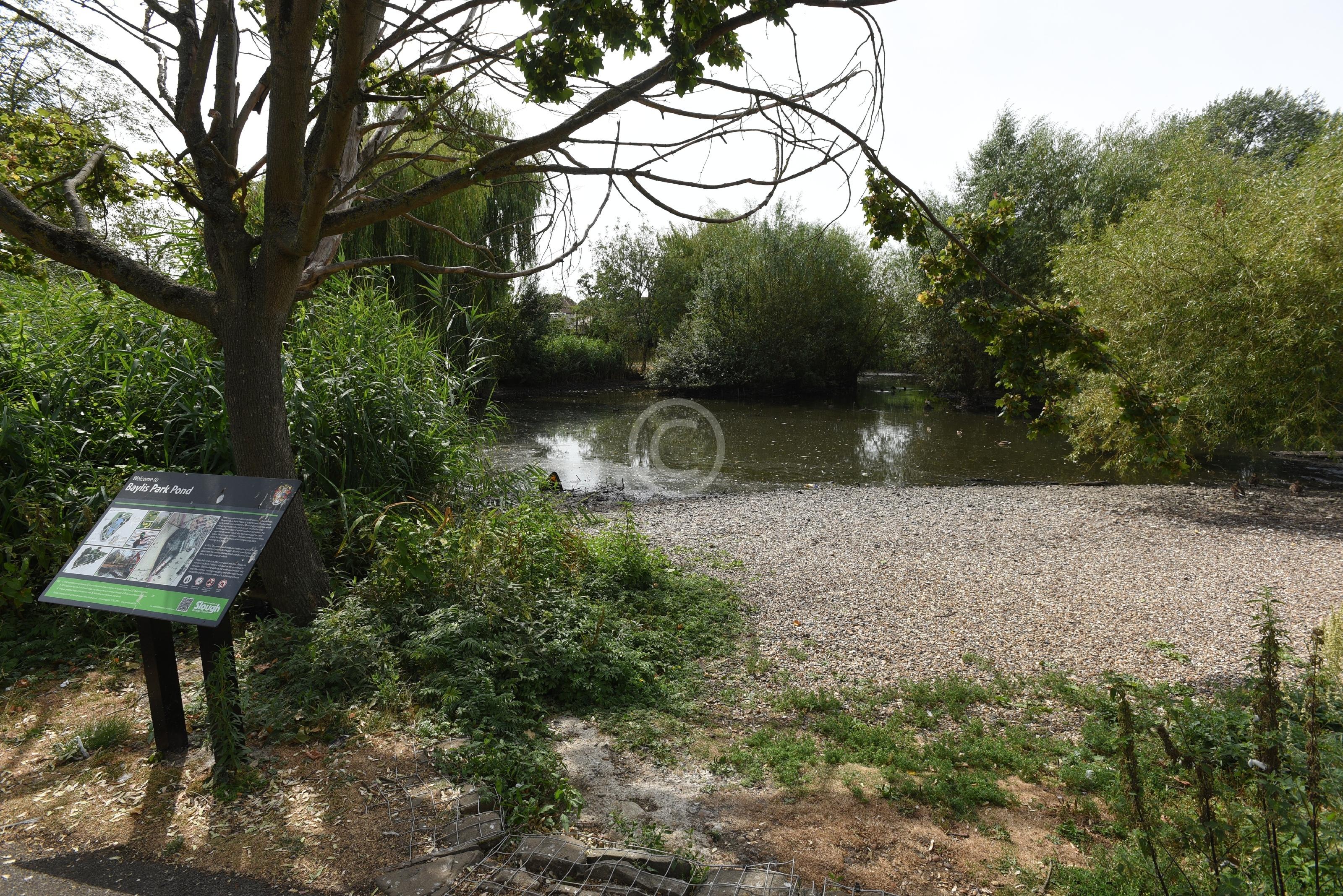 SLOUGH 134730 - Photo 3 of 17 - Baylis Media Photos