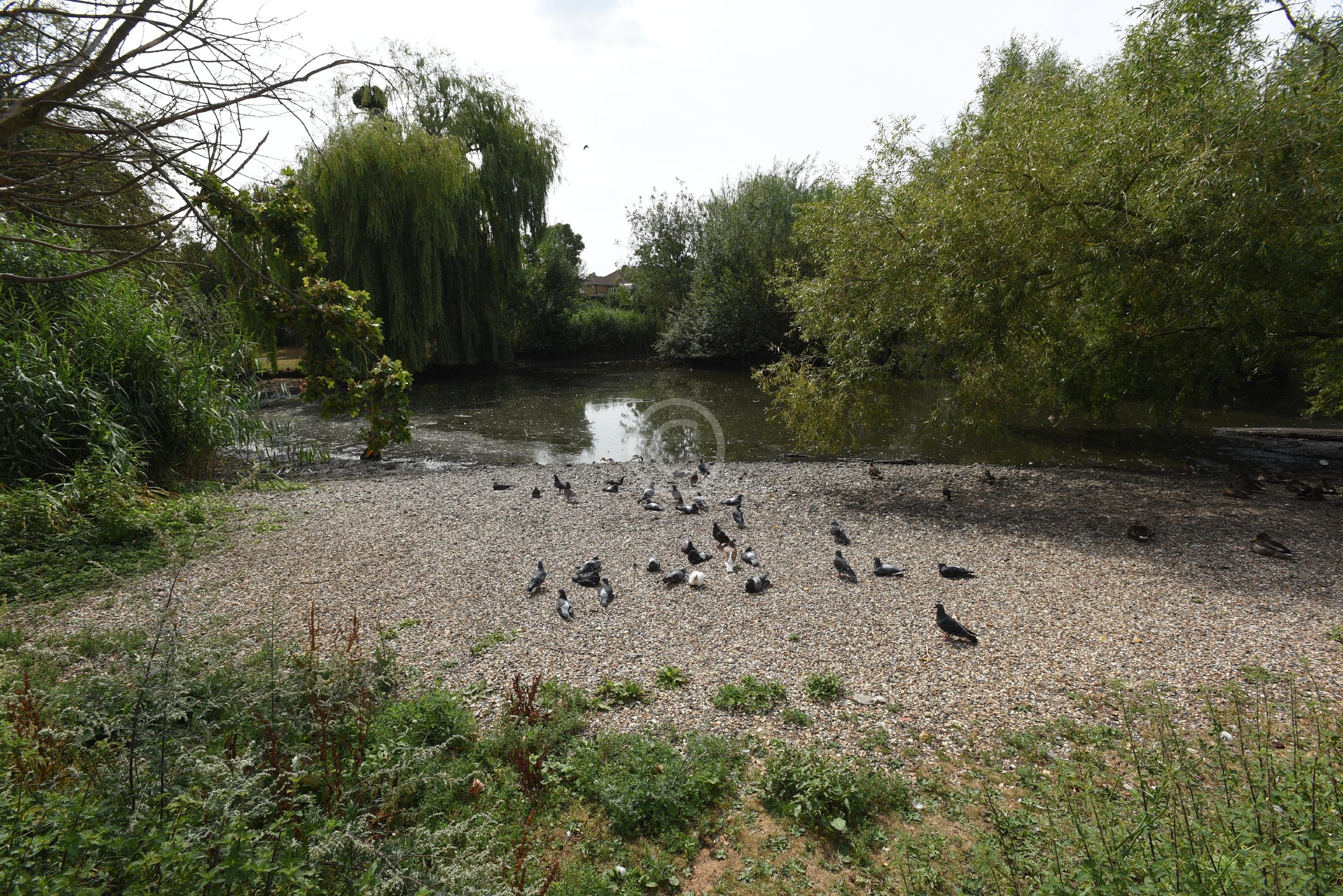 SLOUGH 134730 - Photo 3 of 17 - Baylis Media Photos