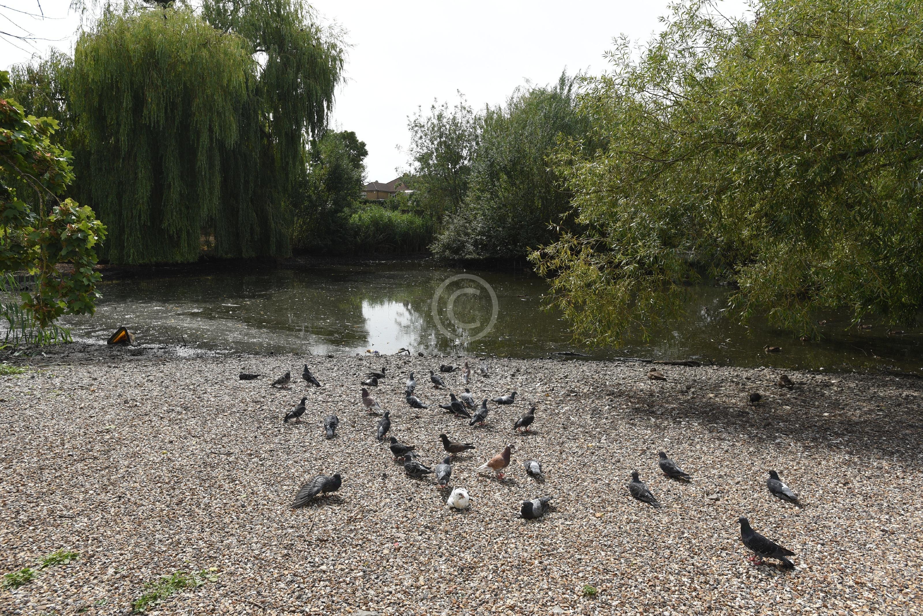 SLOUGH 134730 - Photo 1 of 17 - Baylis Media Photos