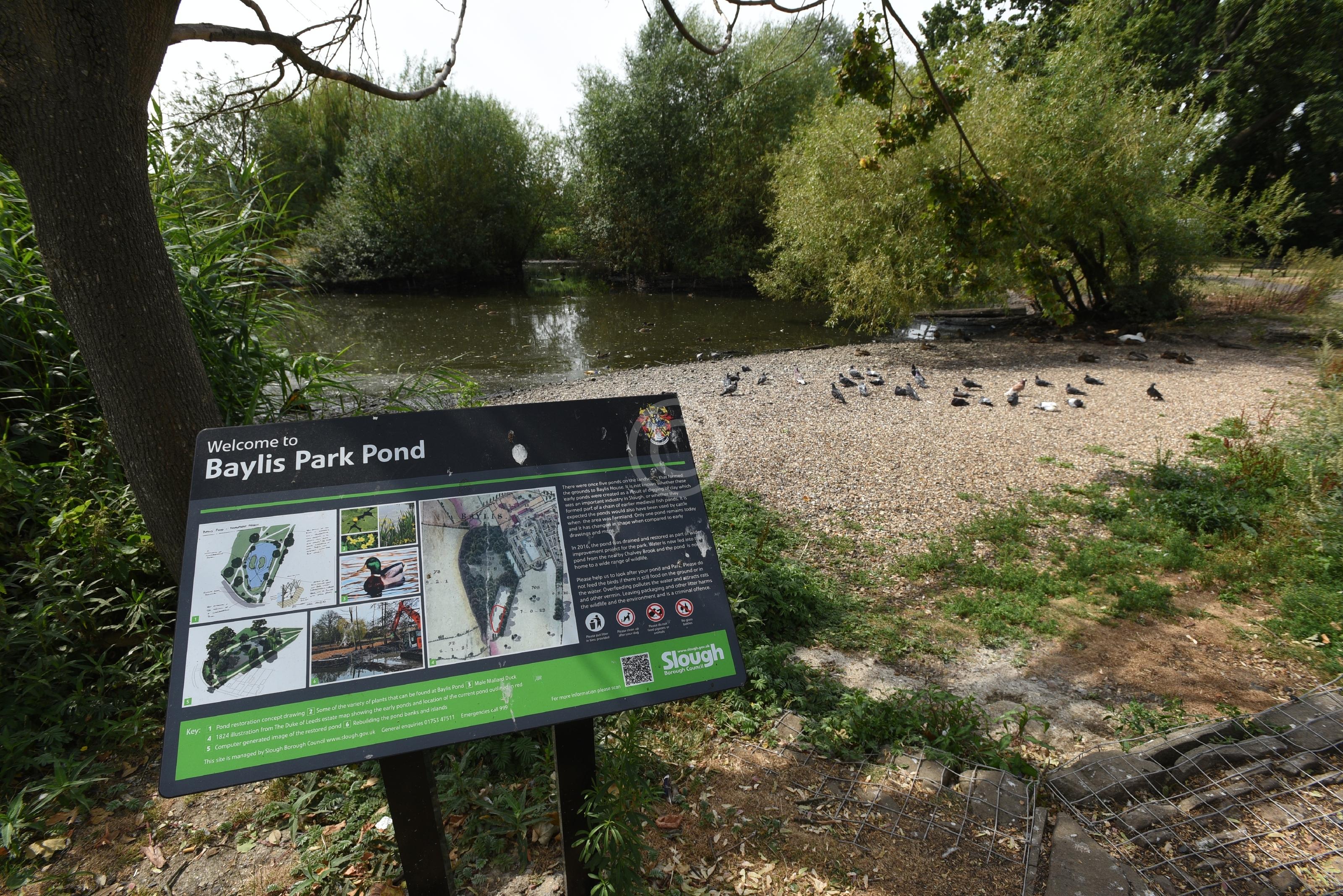 SLOUGH 134730 - Photo 3 of 17 - Baylis Media Photos