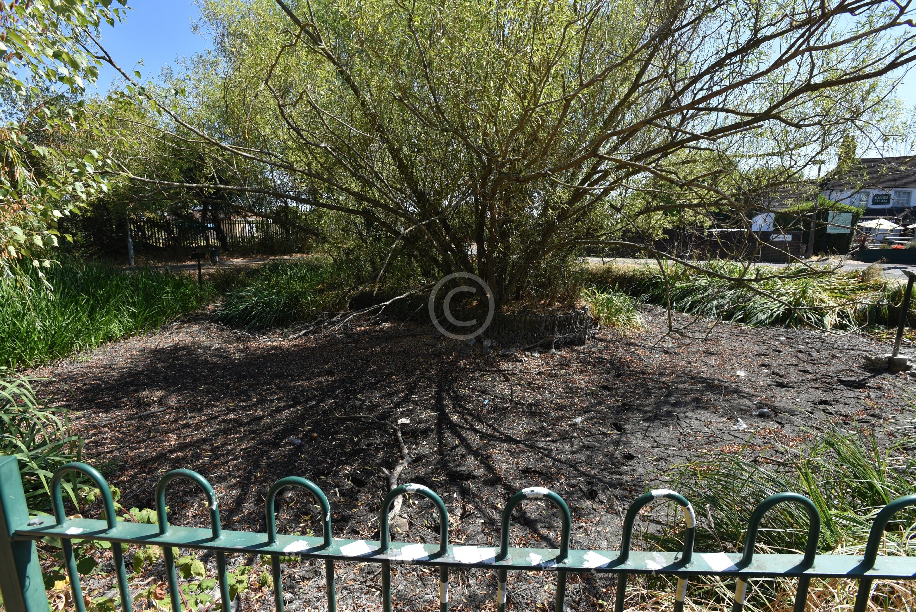 CIPPENHAM 134766 - Photo 2 of 16 - Baylis Media Photos